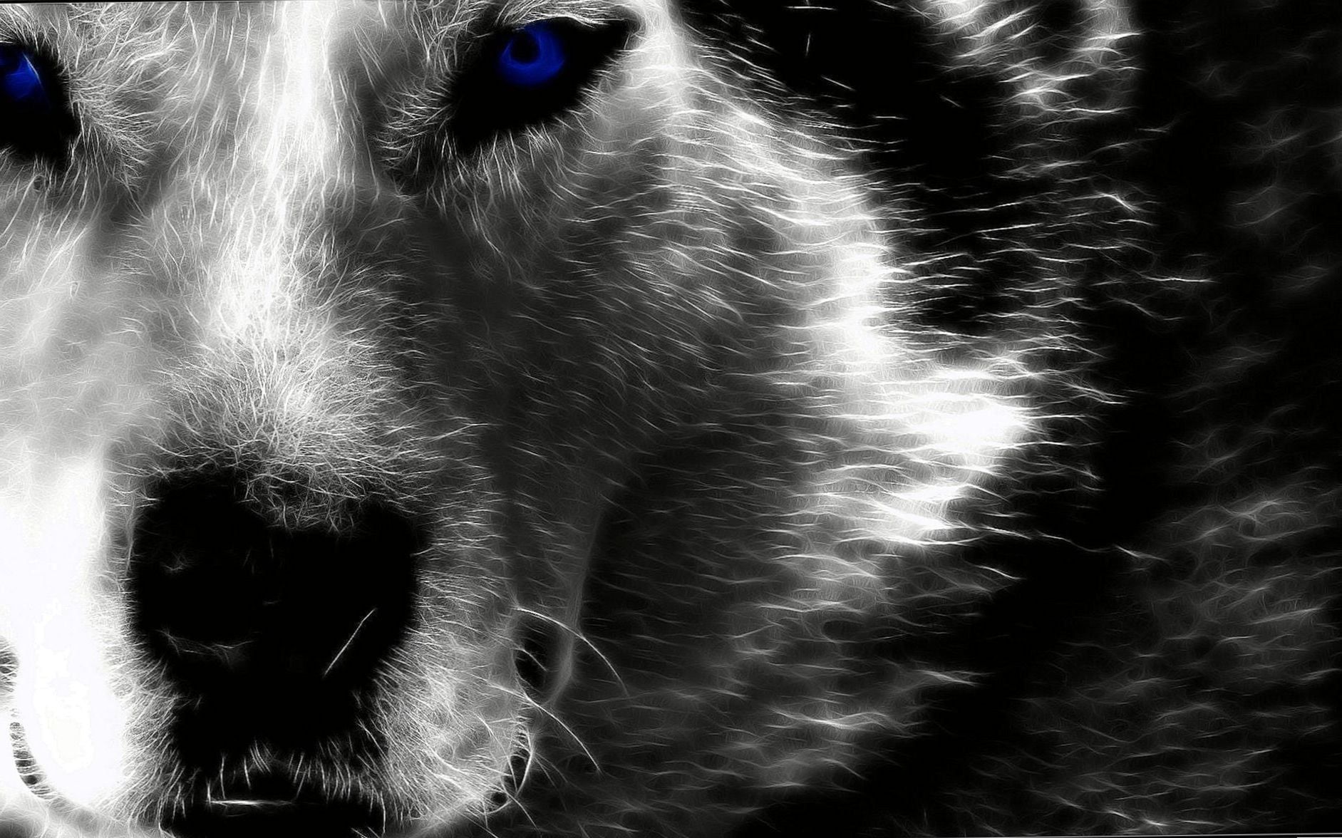 Wolf PC Wallpapers - Wallpaper Cave