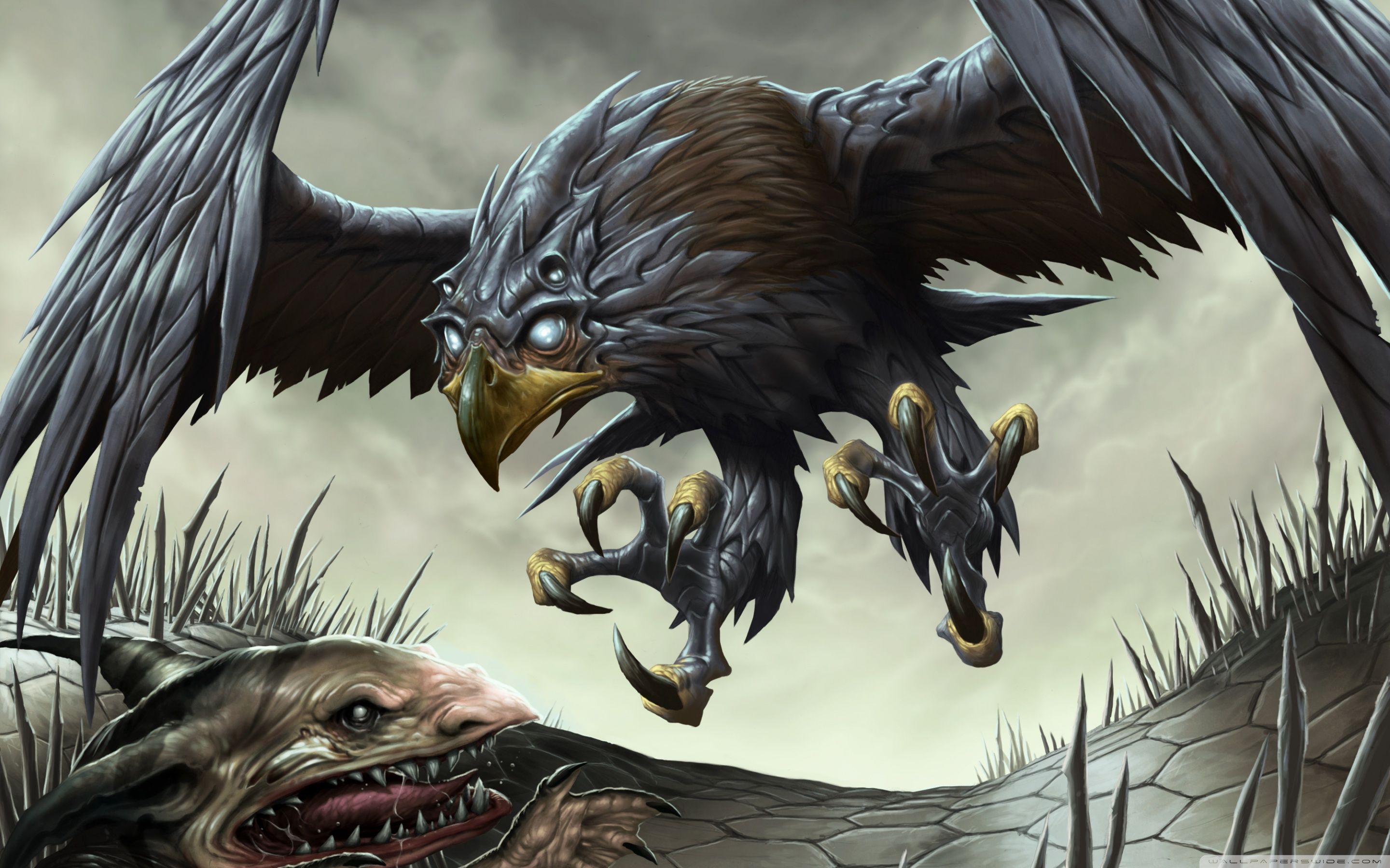 Hawk 4k Wallpapers - Wallpaper Cave