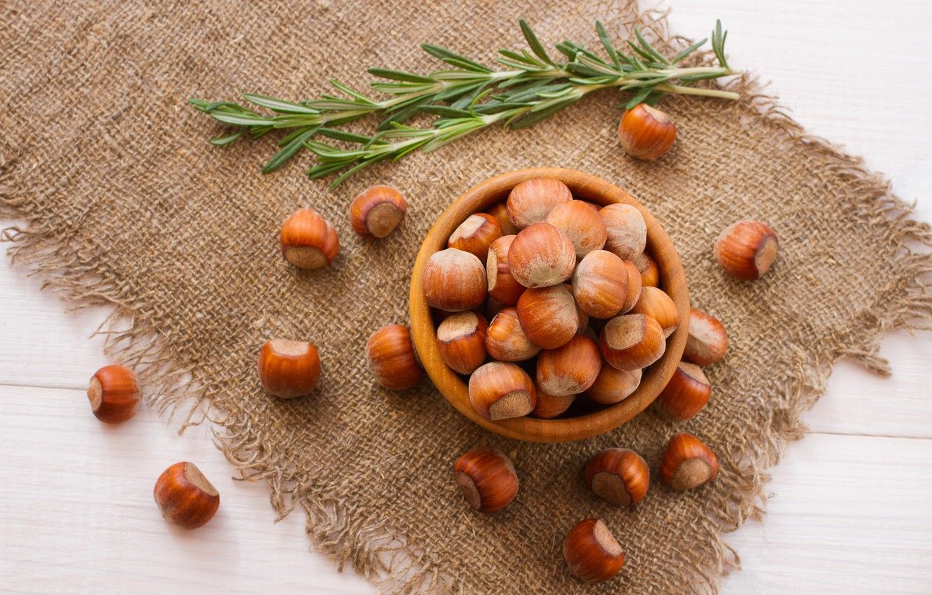 Hazelnut Wallpapers - Wallpaper Cave