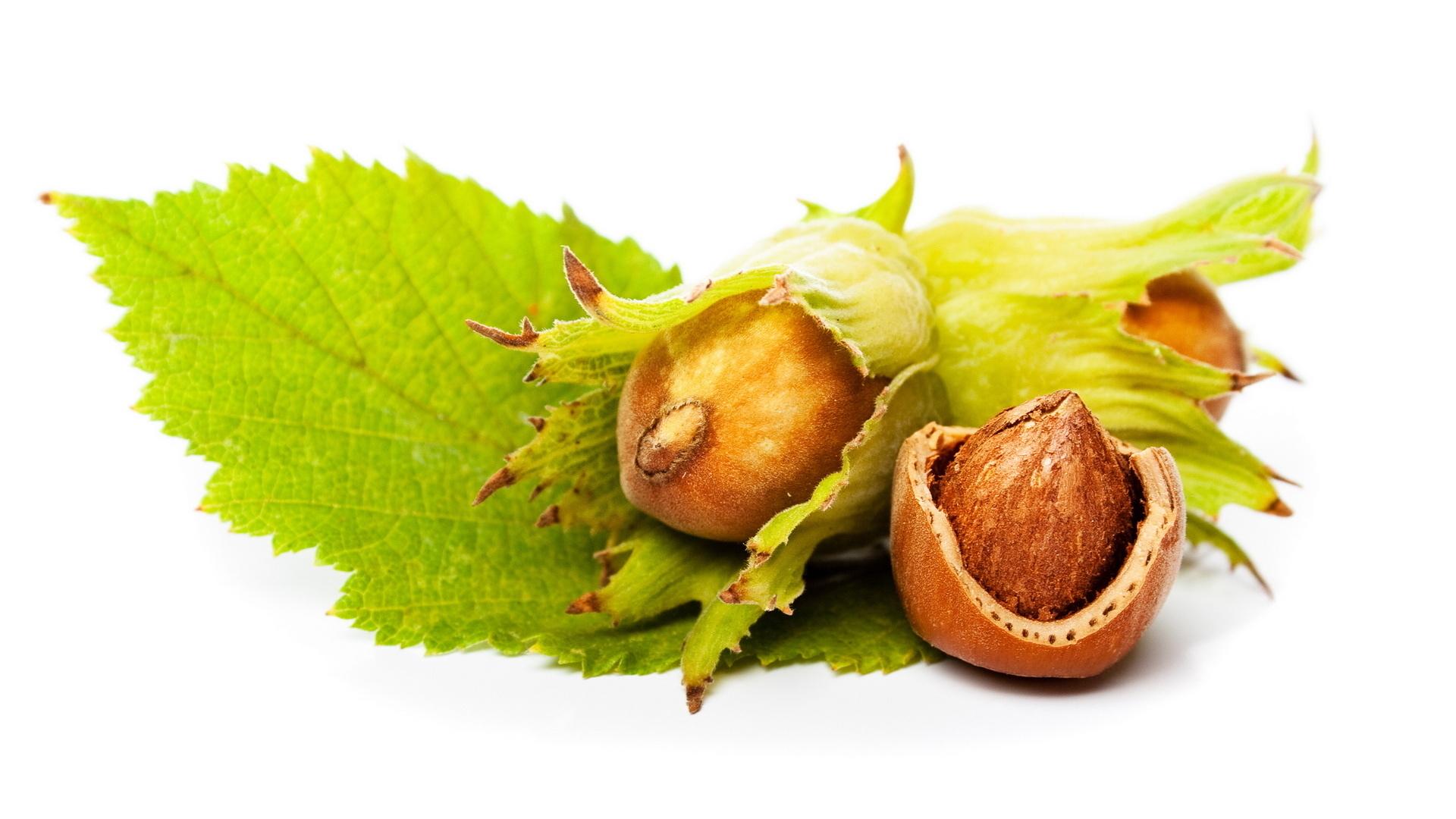 Hazelnut Wallpapers - Wallpaper Cave