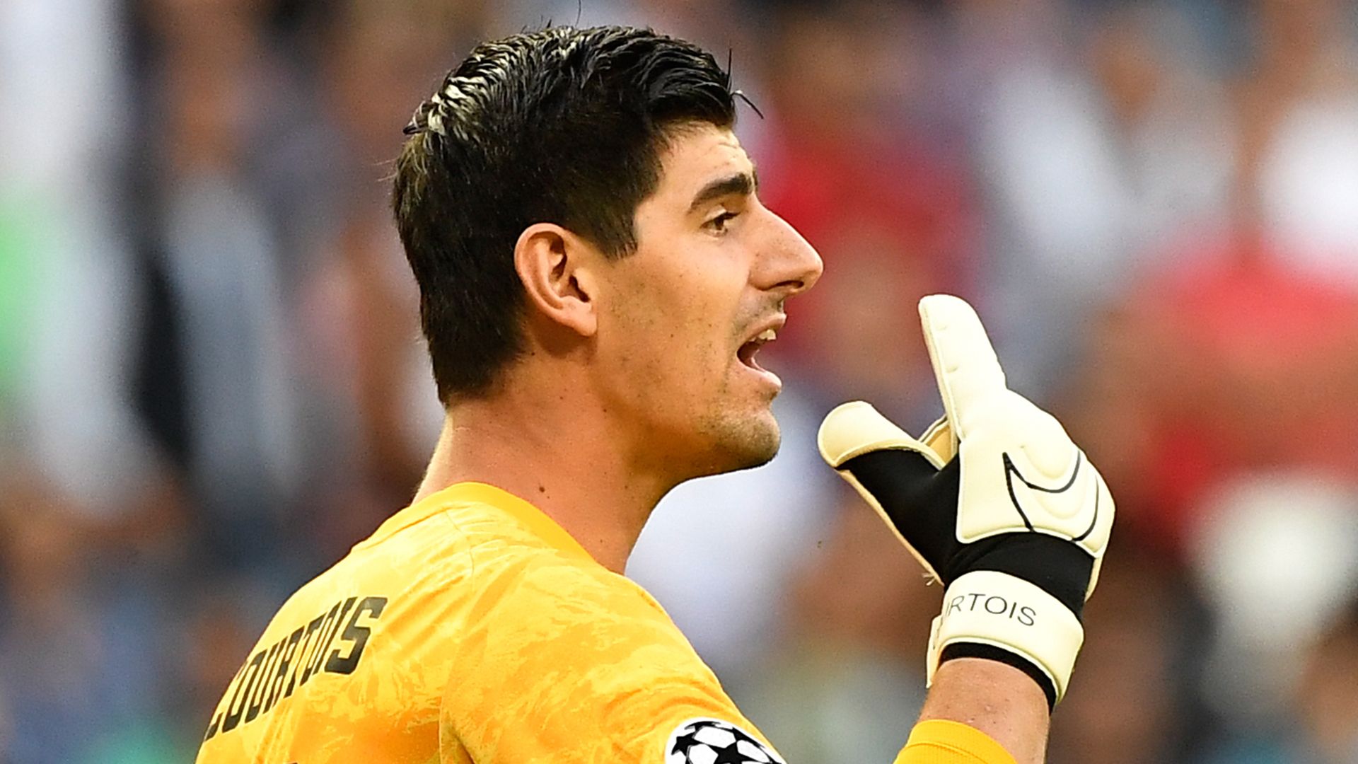 Thibaut Courtois 2021 Wallpapers - Wallpaper Cave
