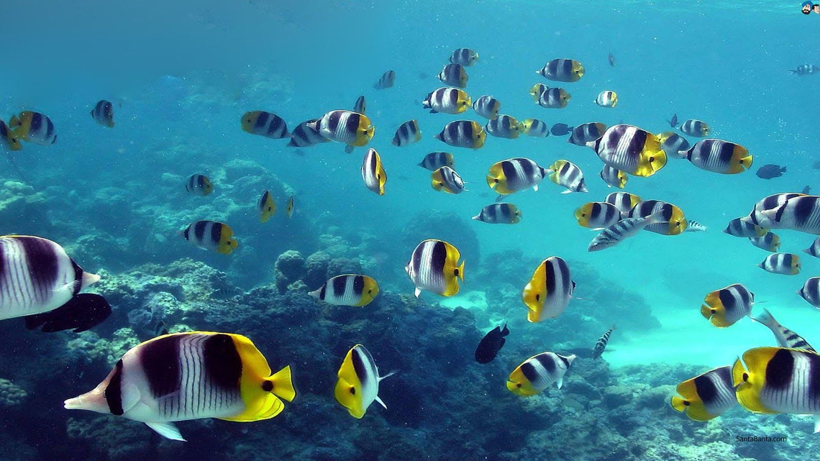 Lakshadweep Wallpapers - Wallpaper Cave