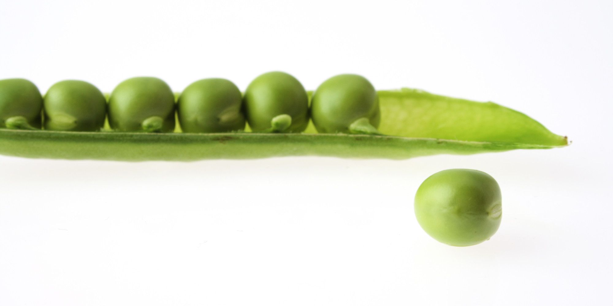 Green Peas Wallpapers - Wallpaper Cave