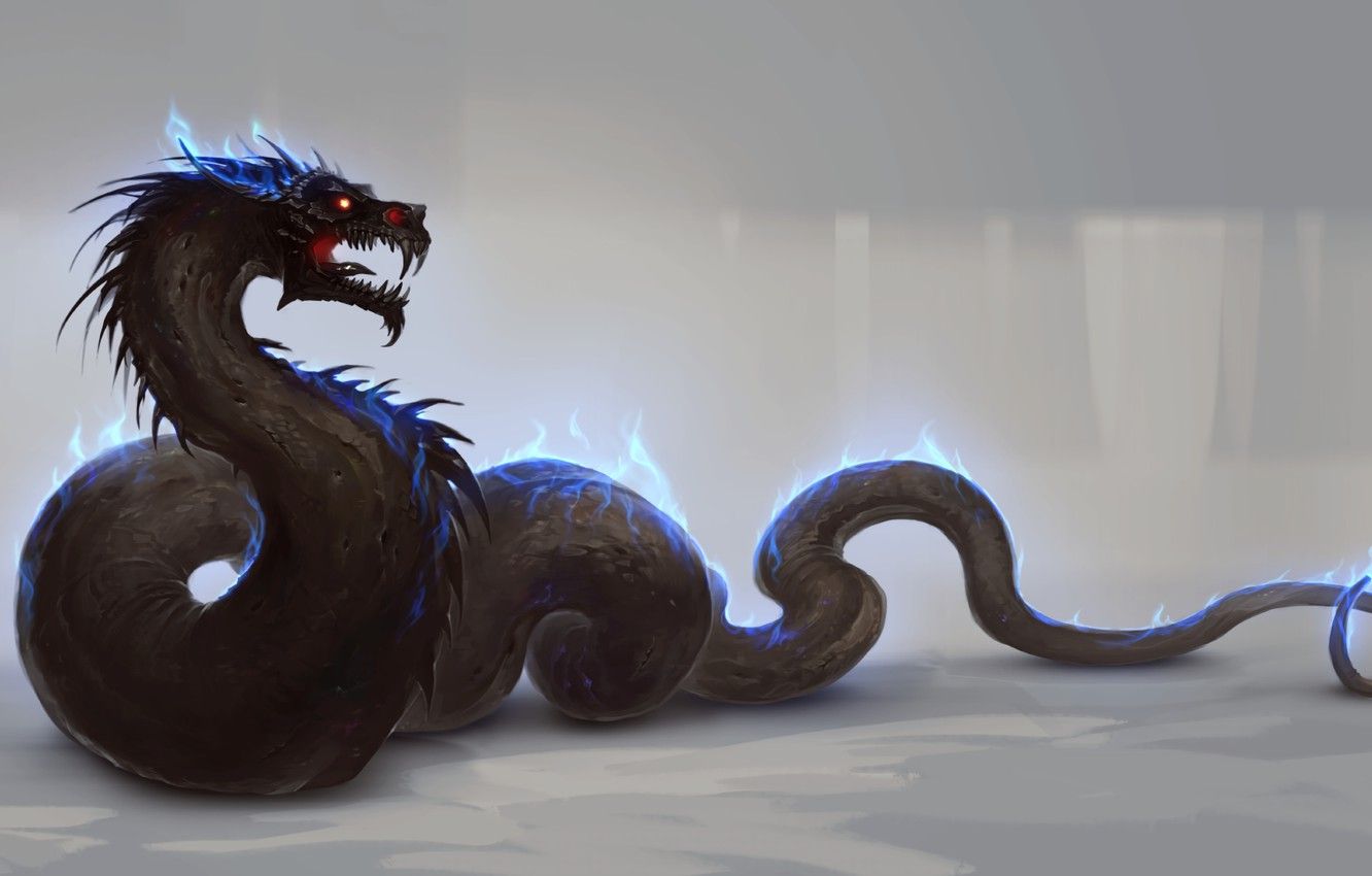 Glow Dragons Wallpapers - Wallpaper Cave