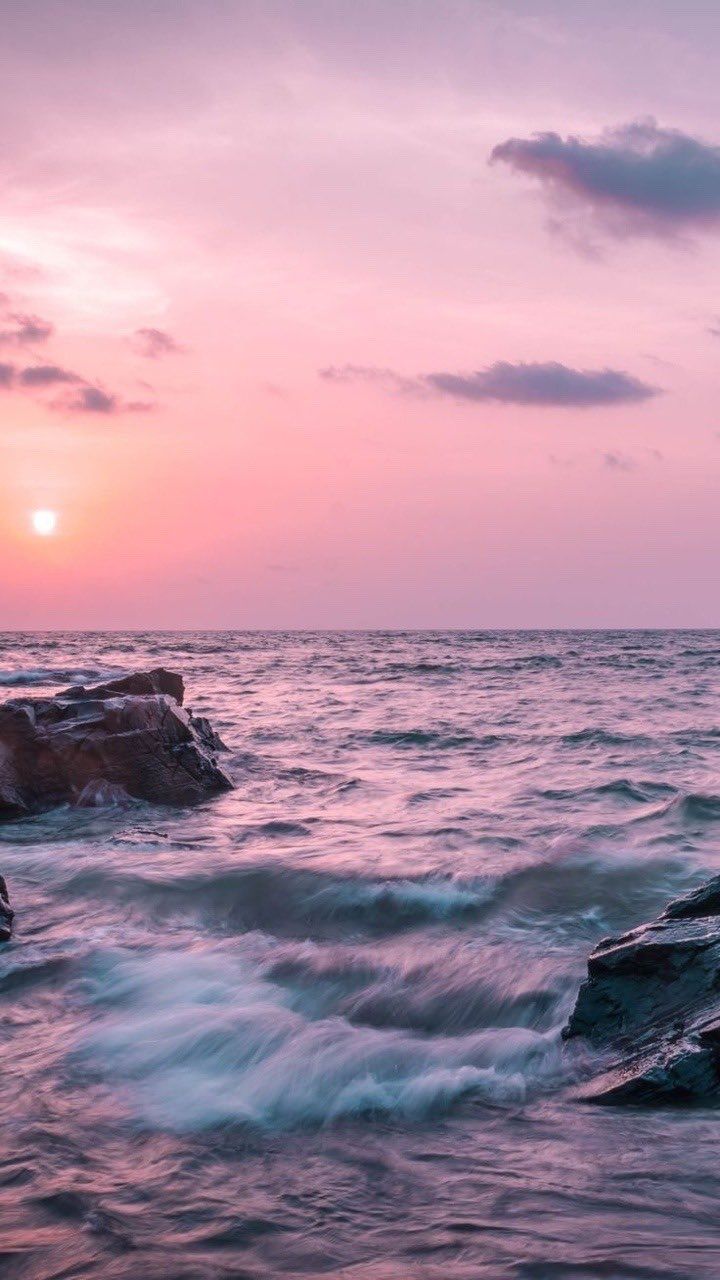 Cute Sea Wallpapers - Wallpaper Cave