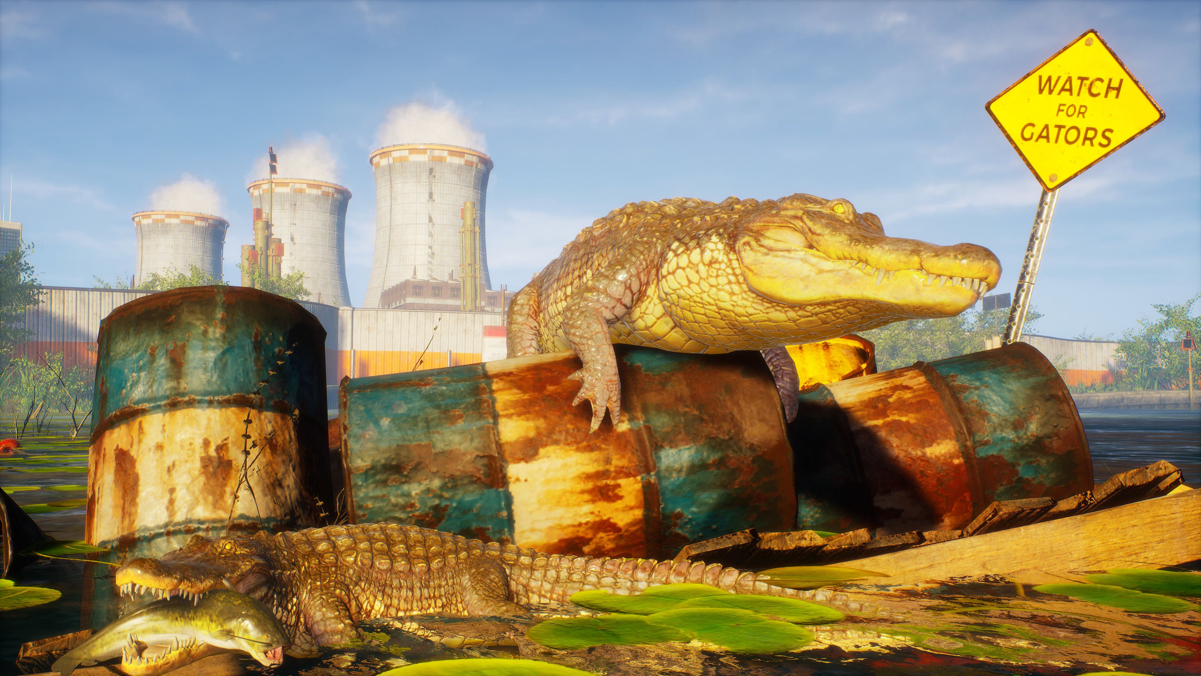 4k Alligator Wallpapers - Wallpaper Cave