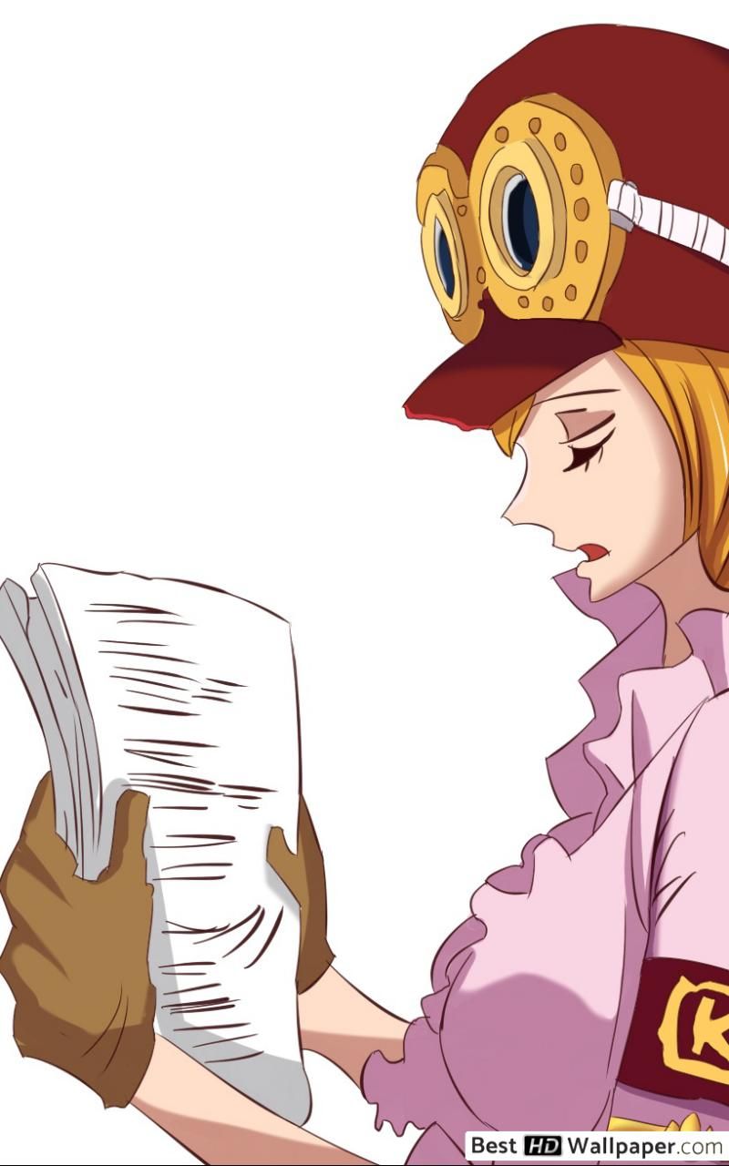 Koala One Piece Wallpapers - Wallpaper Cave