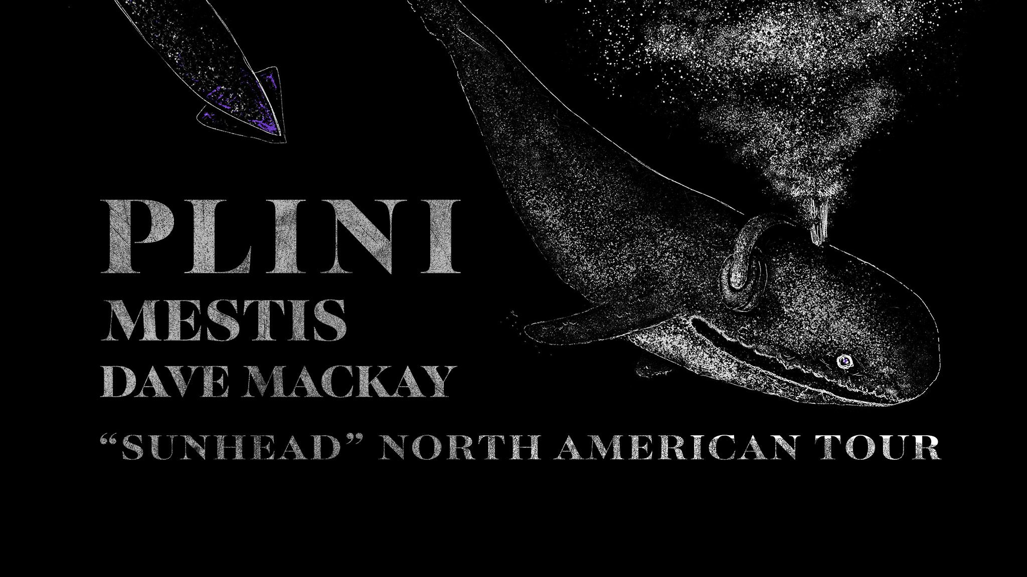 Plini Wallpapers - Wallpaper Cave