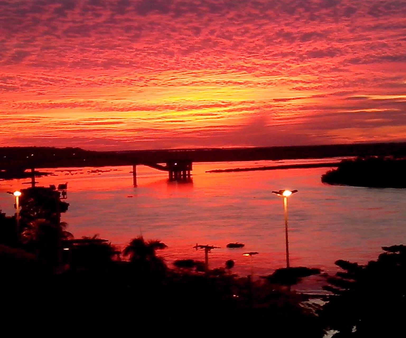 Pantanal Wallpapers - Wallpaper Cave