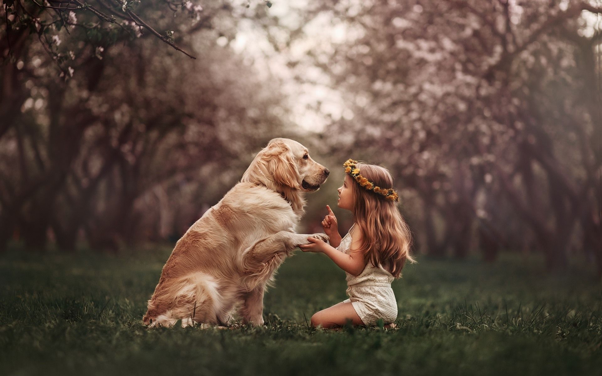 Puppy Dog And Girl Wallpapers - Wallpaper Cave