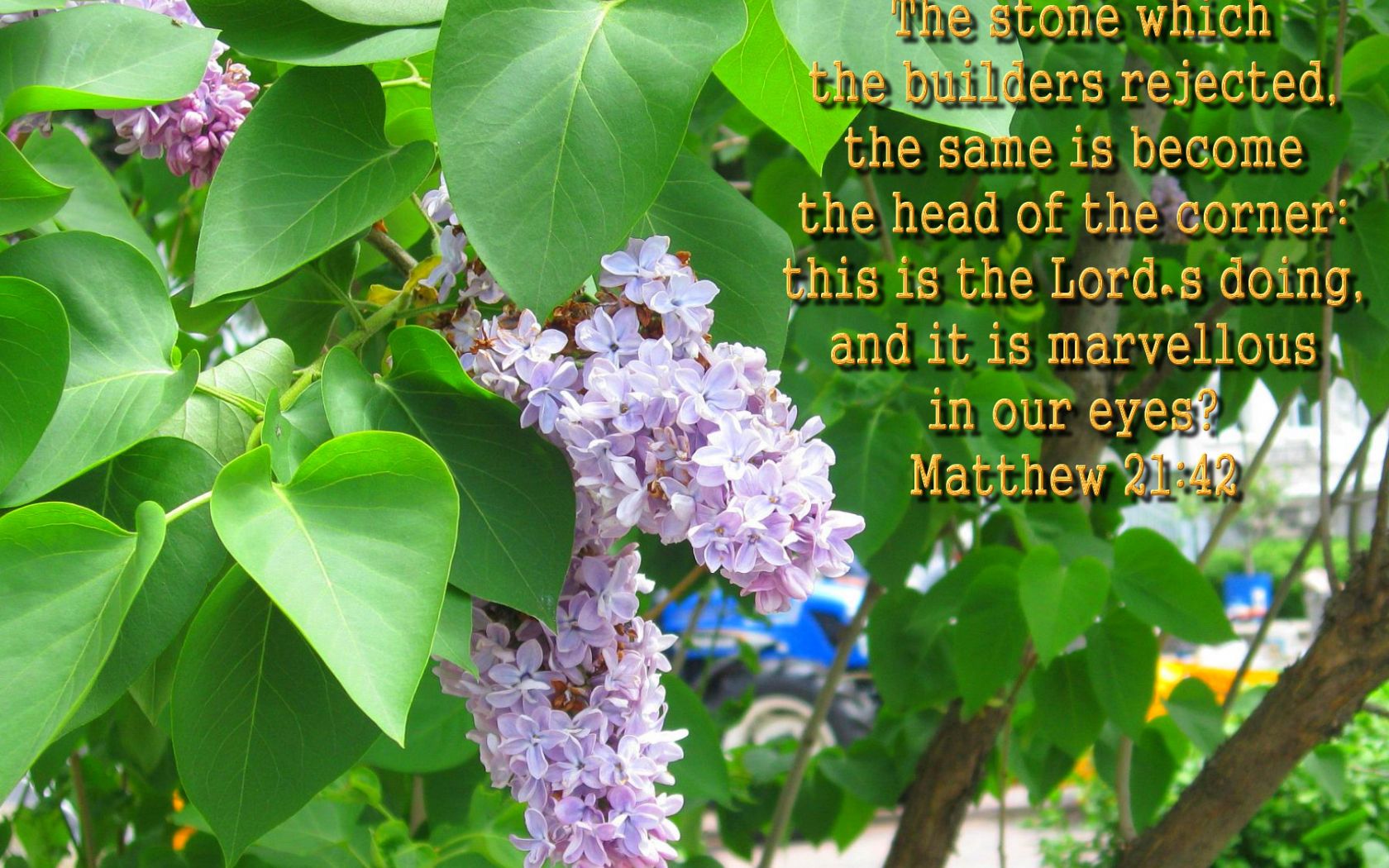 Spring Bible Wallpapers - Wallpaper Cave