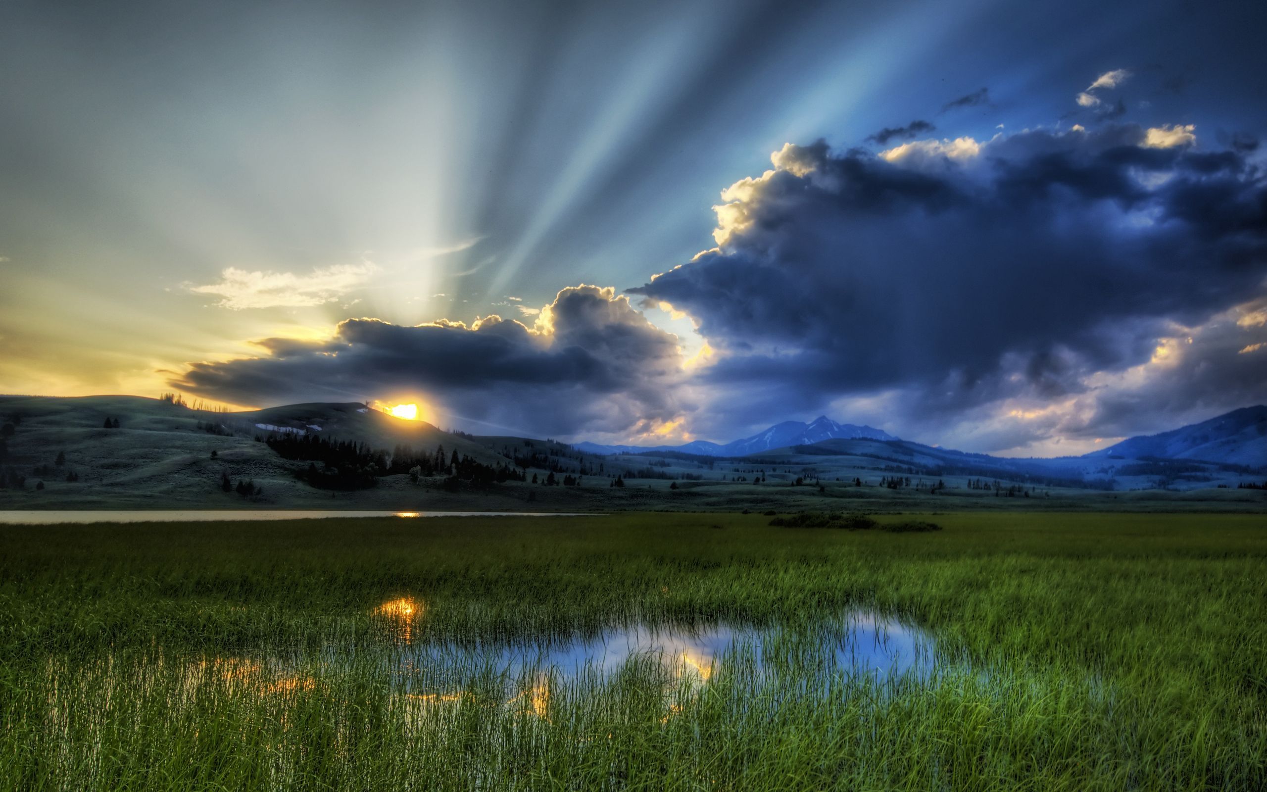 Soft Summer Wallpapers - Wallpaper Cave