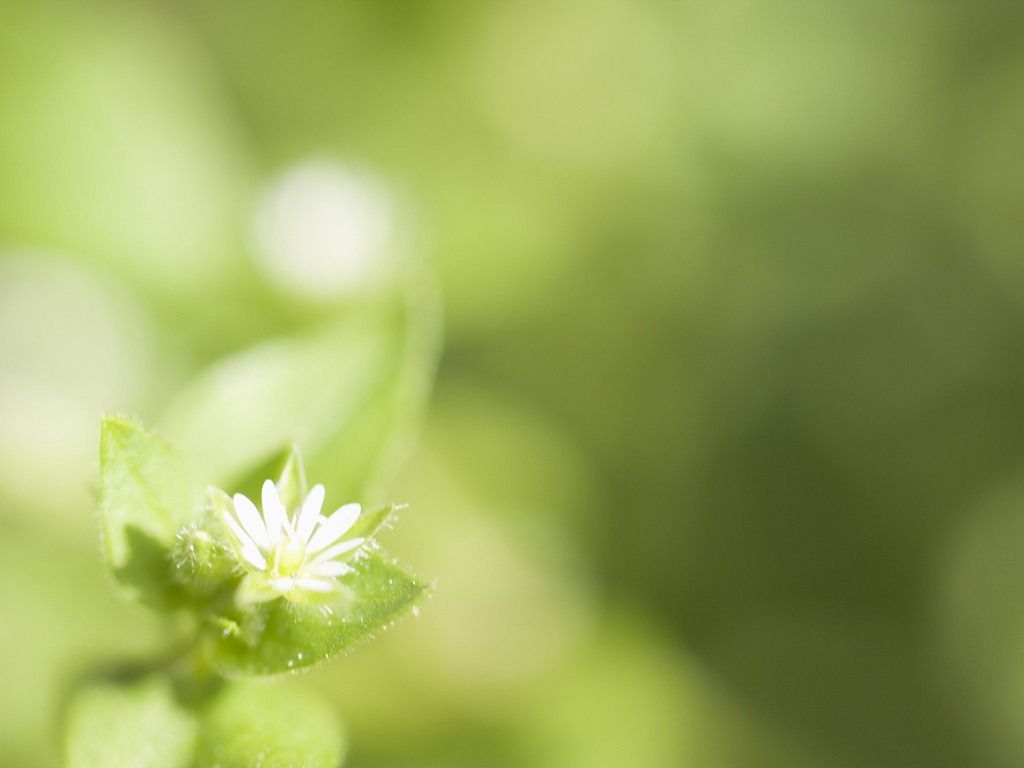 Soft Summer Wallpapers - Wallpaper Cave