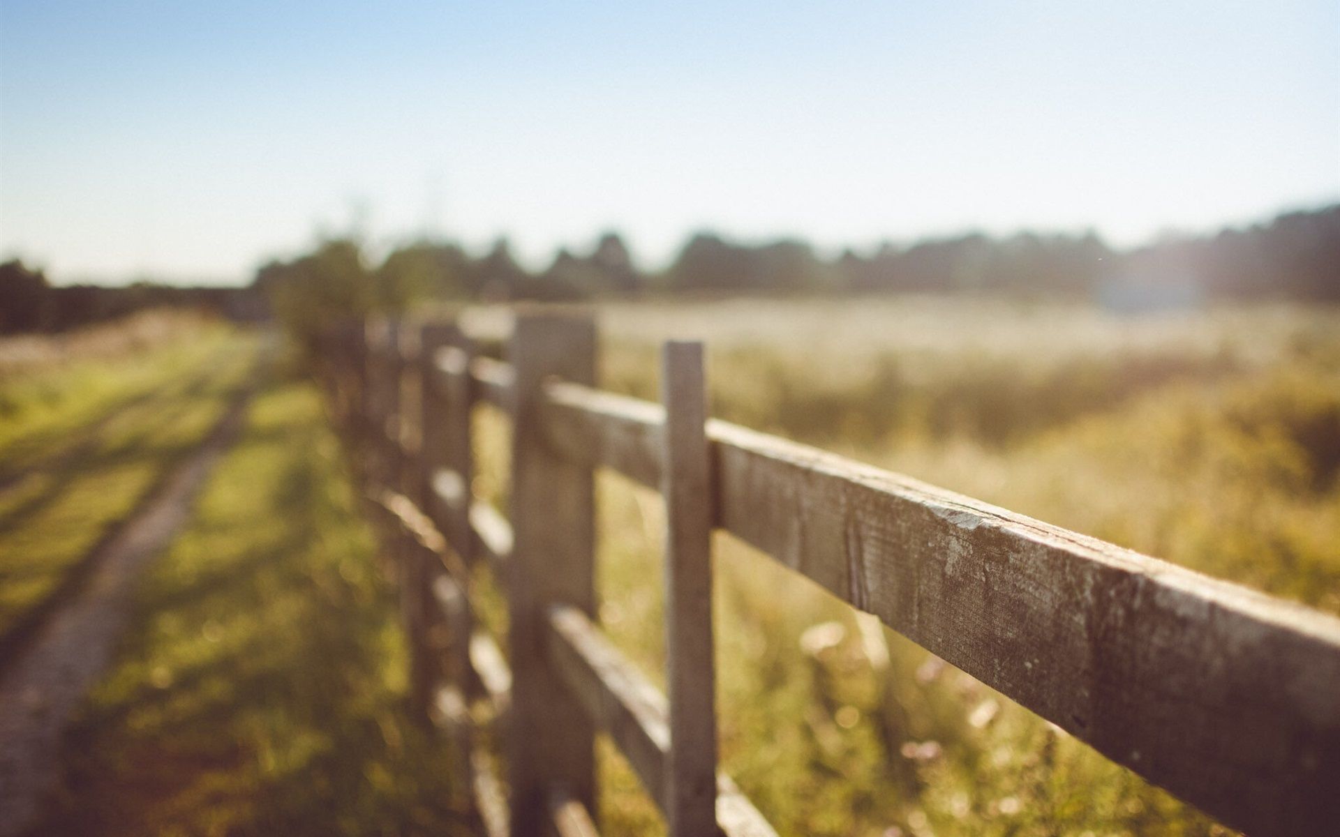 Summer Fence Wallpapers - Wallpaper Cave