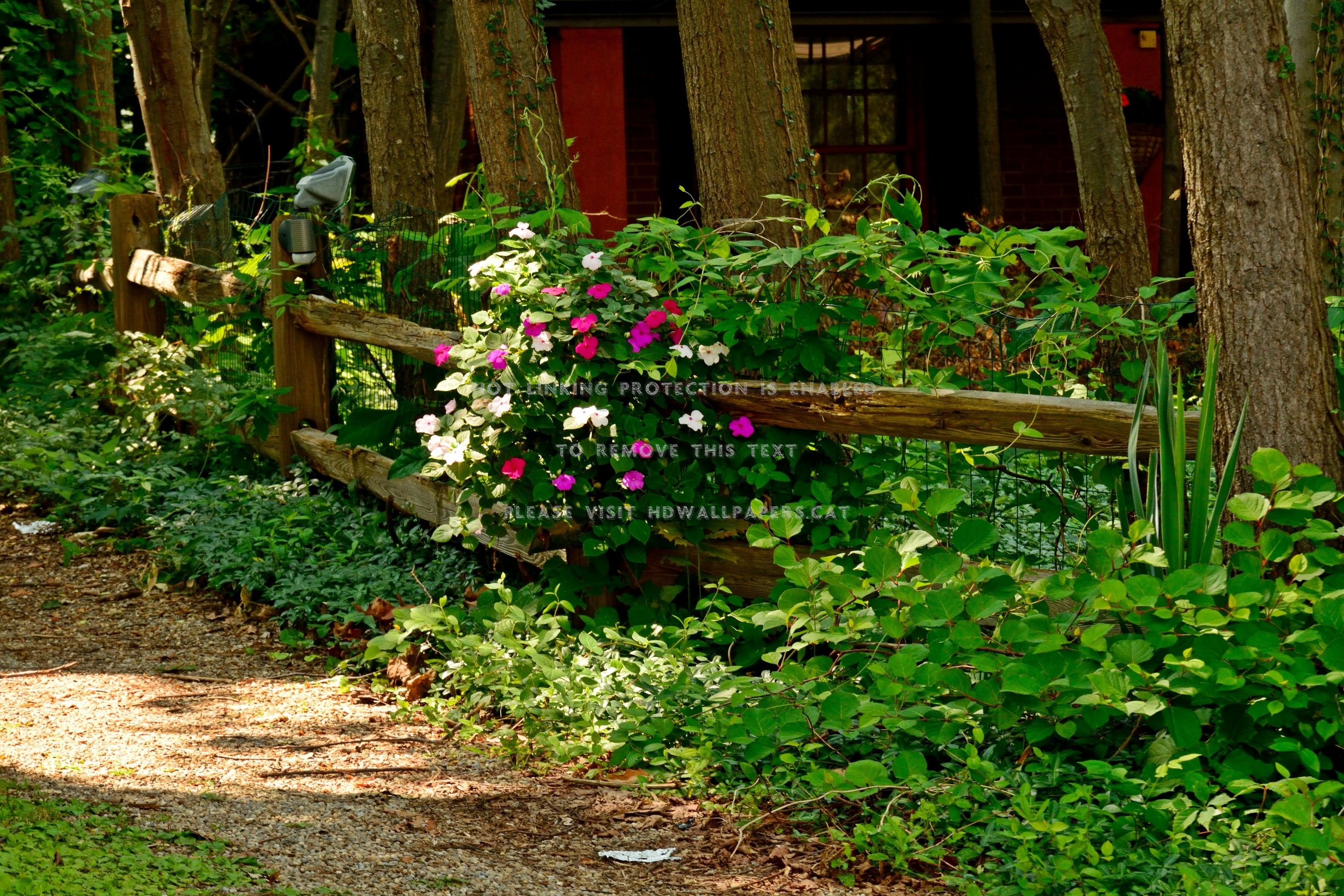 Summer Fence Wallpapers - Wallpaper Cave