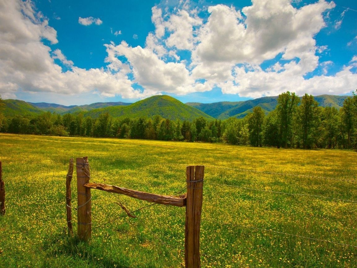 Summer Fence Wallpapers - Wallpaper Cave