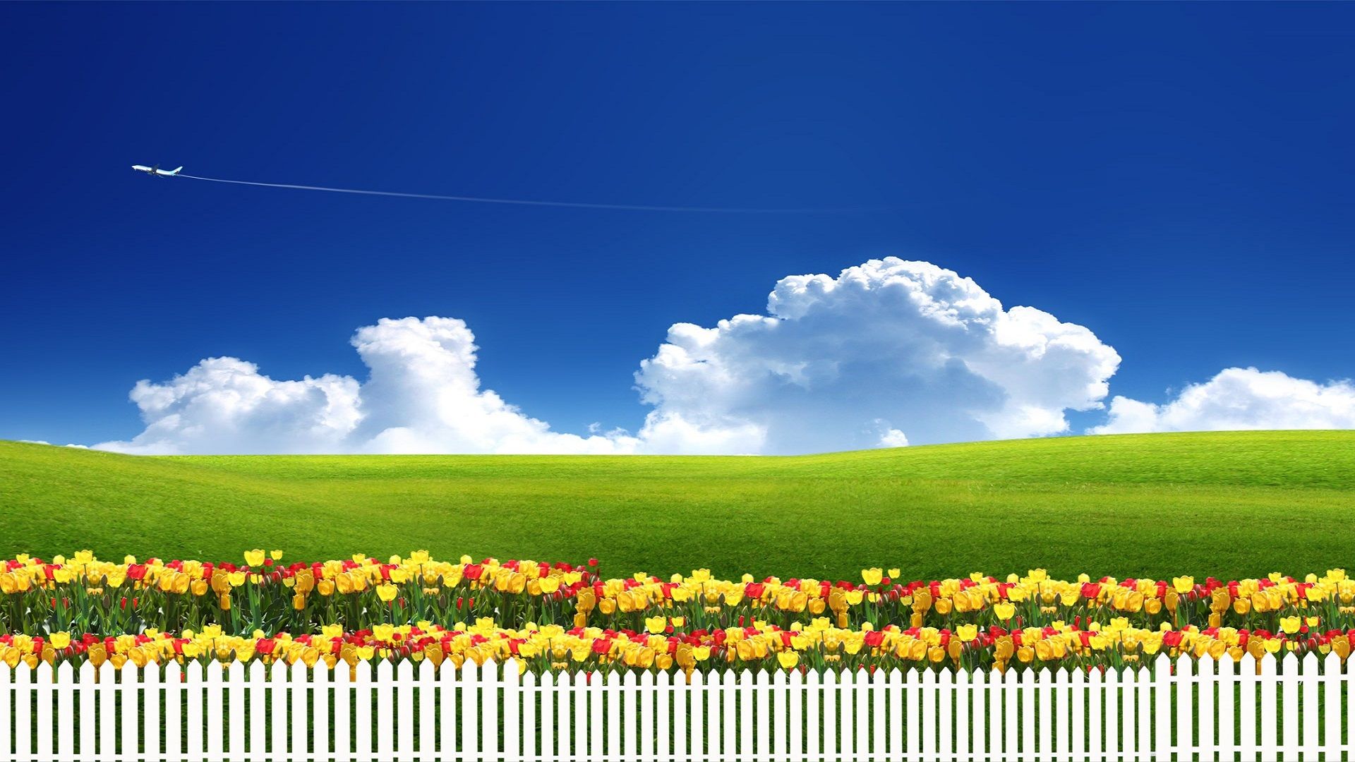 Summer Fence Wallpapers - Wallpaper Cave