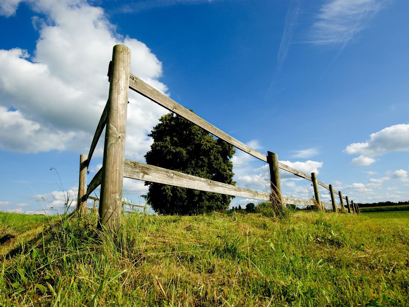 Summer Fence Wallpapers - Wallpaper Cave