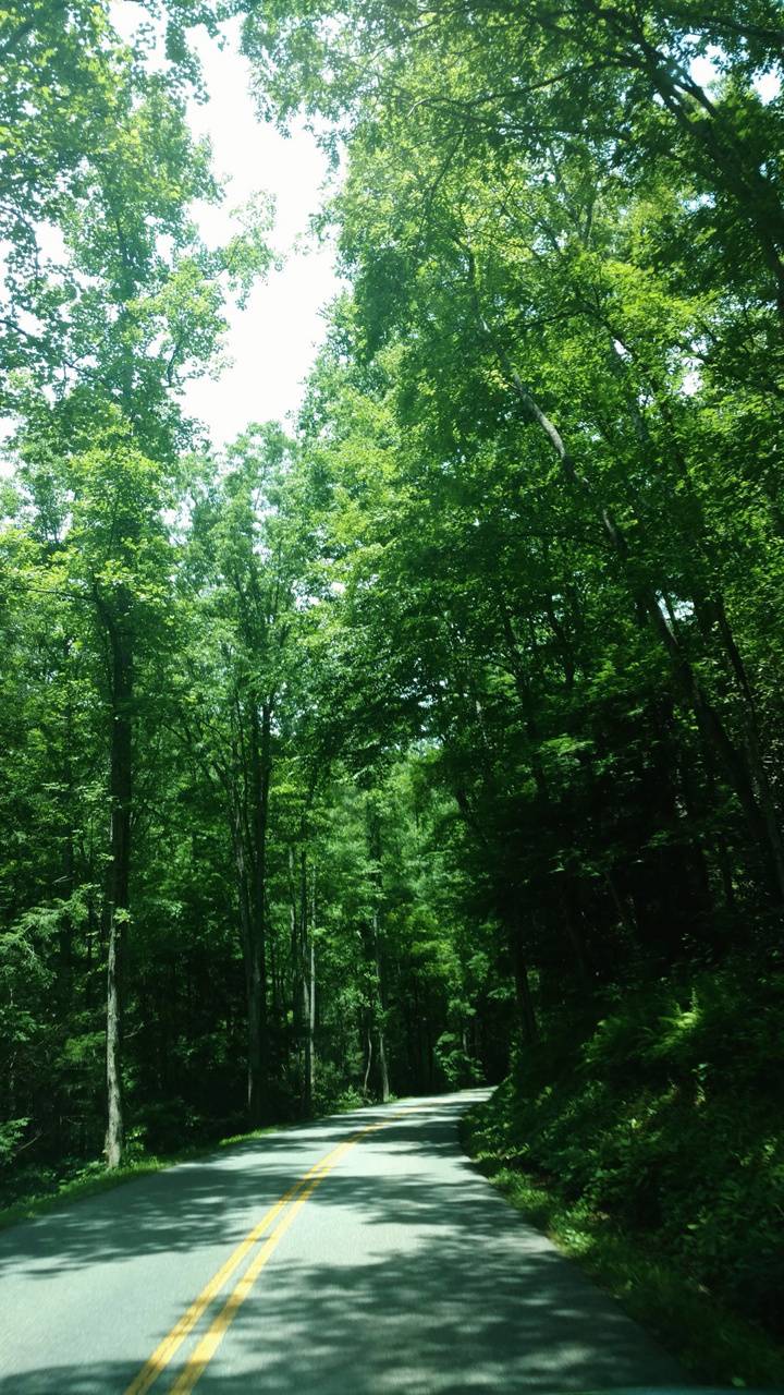 Summer Drive Wallpapers - Wallpaper Cave