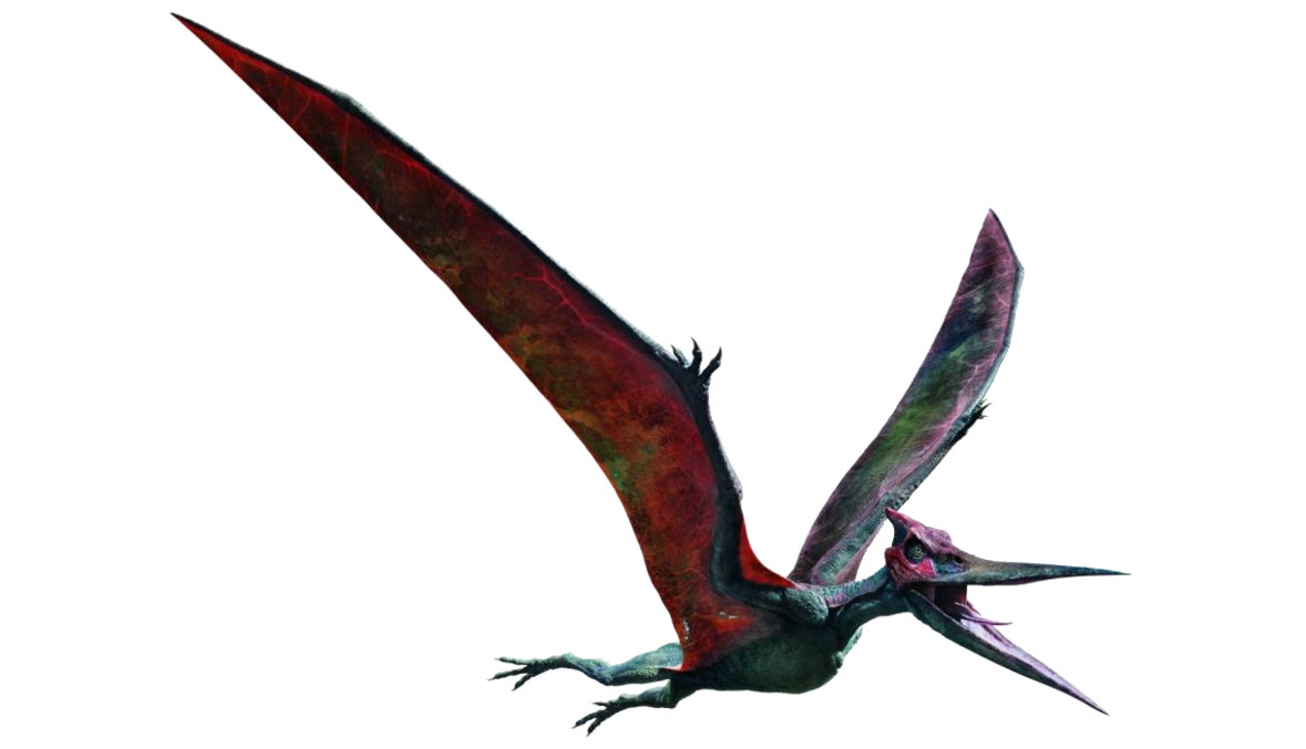 Pteranodon Jurassic World: Evolution Wallpapers - Wallpaper Cave