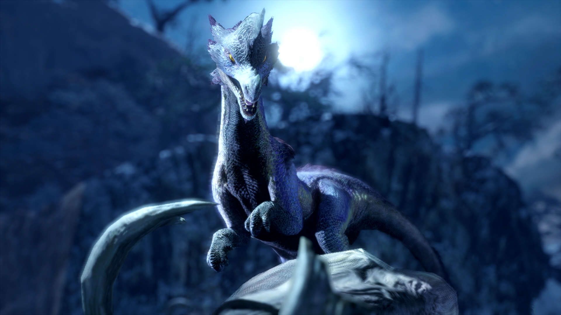 Monster Hunter Great Izuchi Wallpapers - Wallpaper Cave