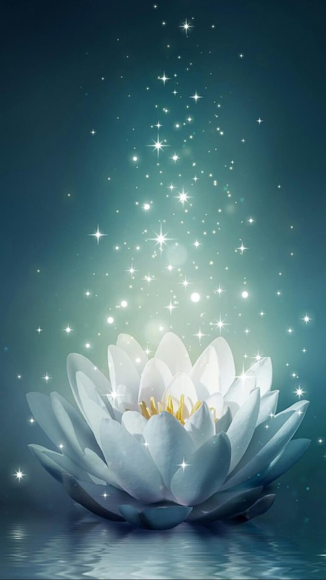 Lotus Mobile 4k Wallpapers - Wallpaper Cave