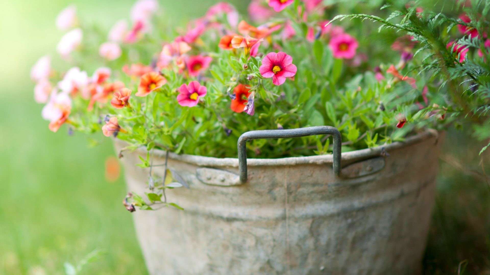 HD Spring Flower Wallpapers - Wallpaper Cave