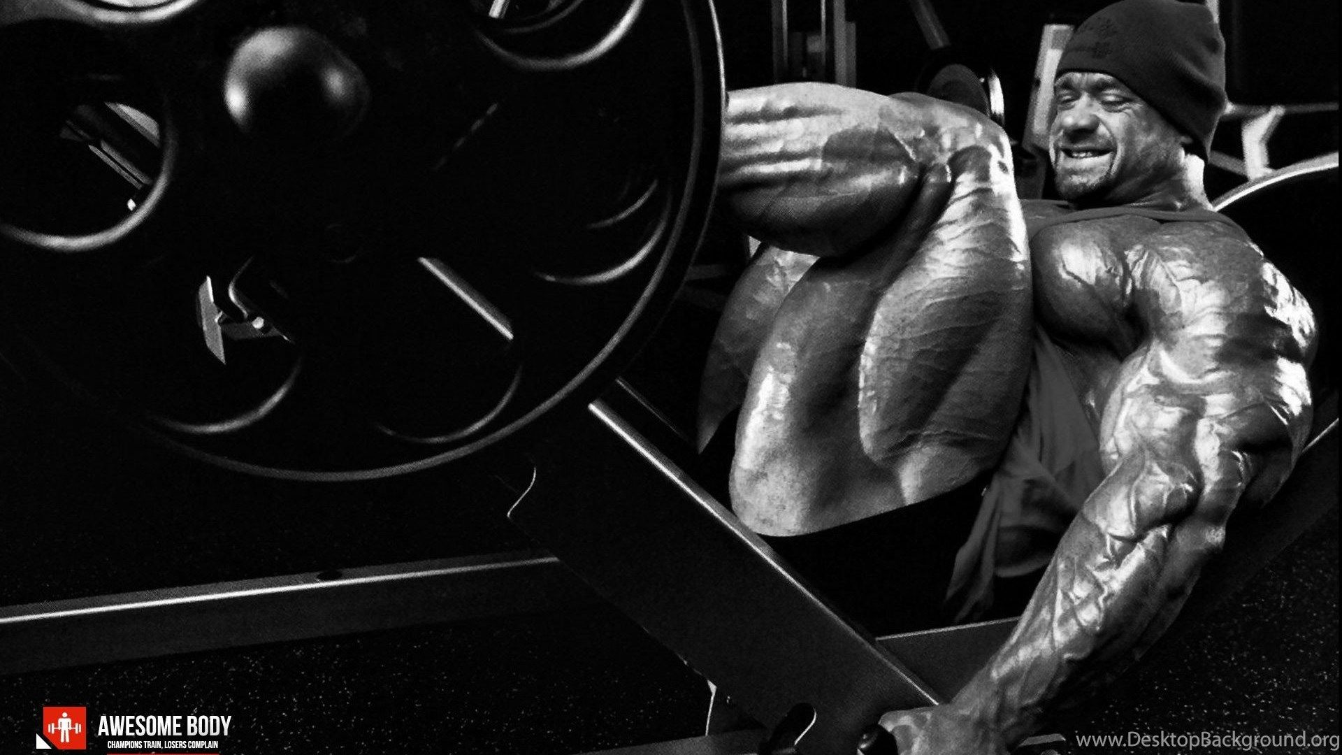 Branch Warren Wallpapers - Wallpaper Cave