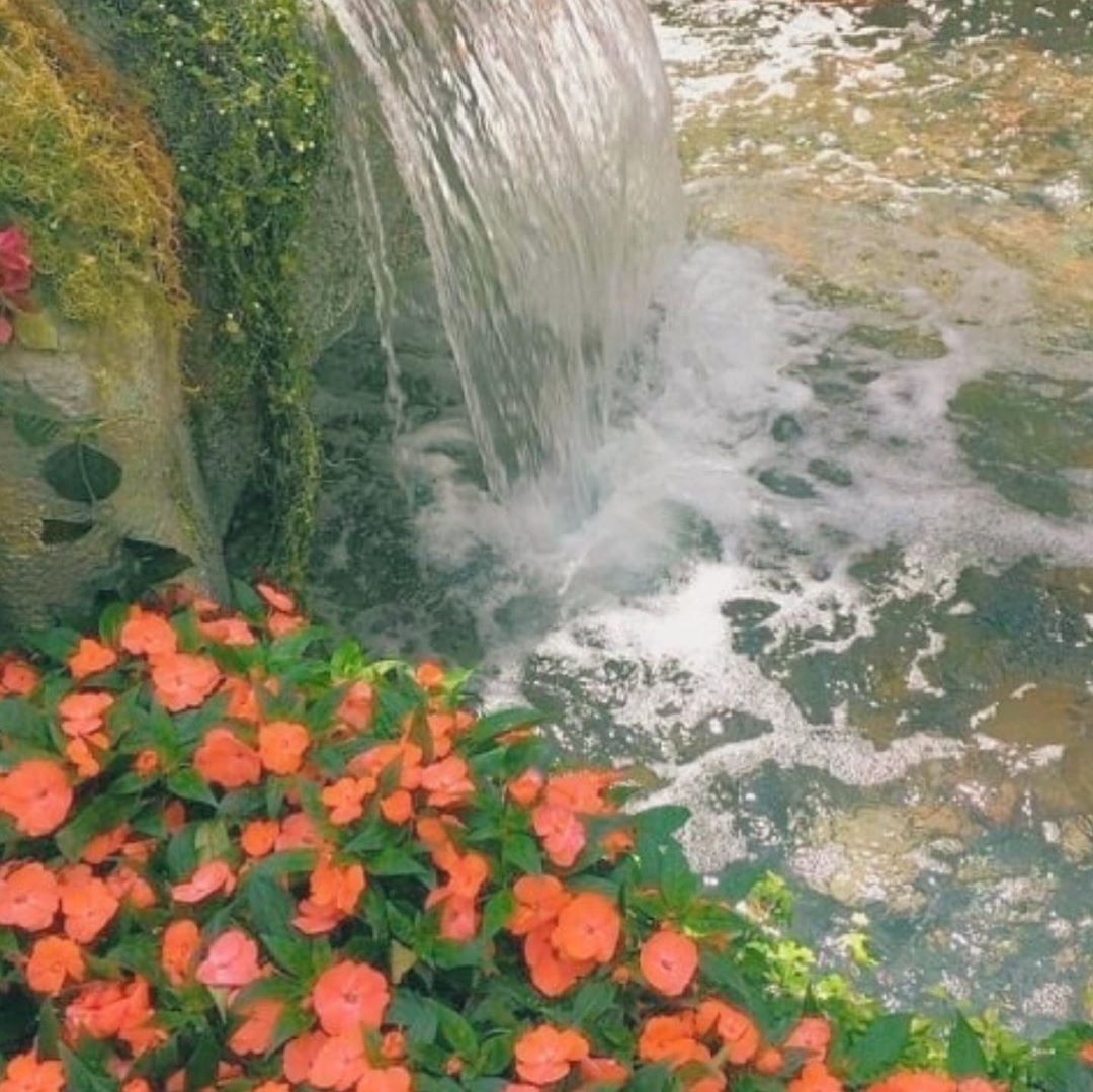 Naturecore Wallpapers - Wallpaper Cave