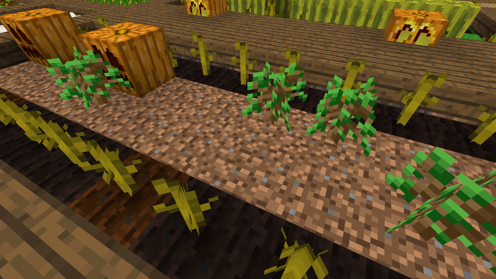 Naturecore Wallpapers - Wallpaper Cave