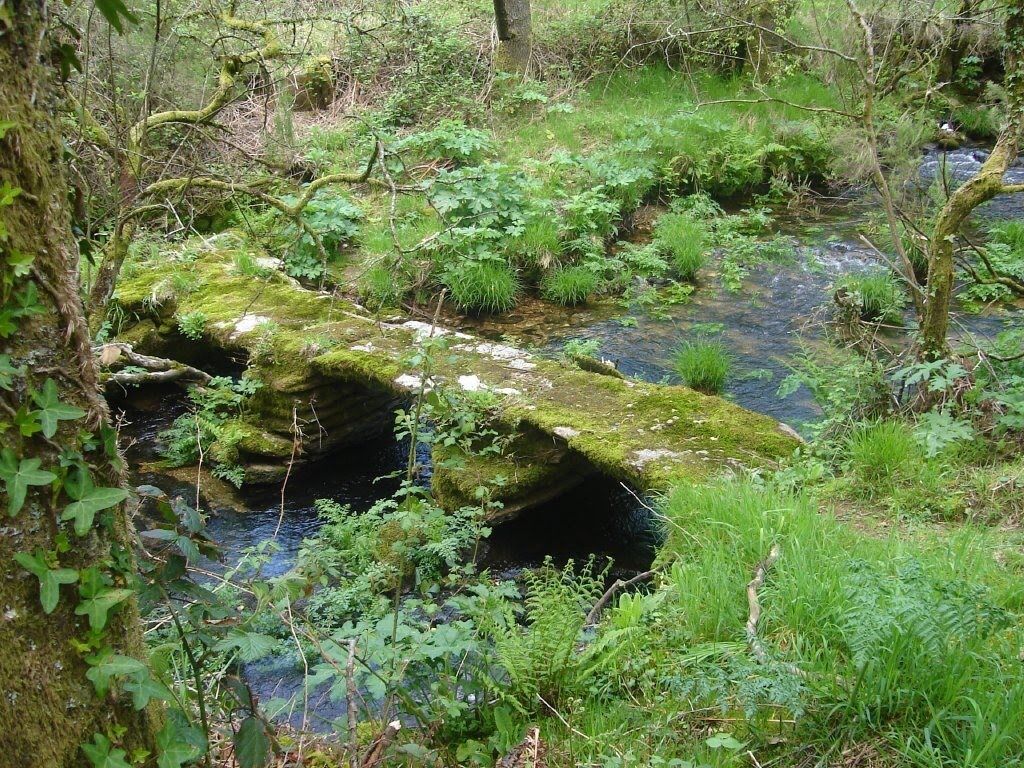 Naturecore Wallpapers - Wallpaper Cave