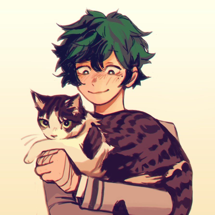 Cat Deku Wallpapers - Wallpaper Cave