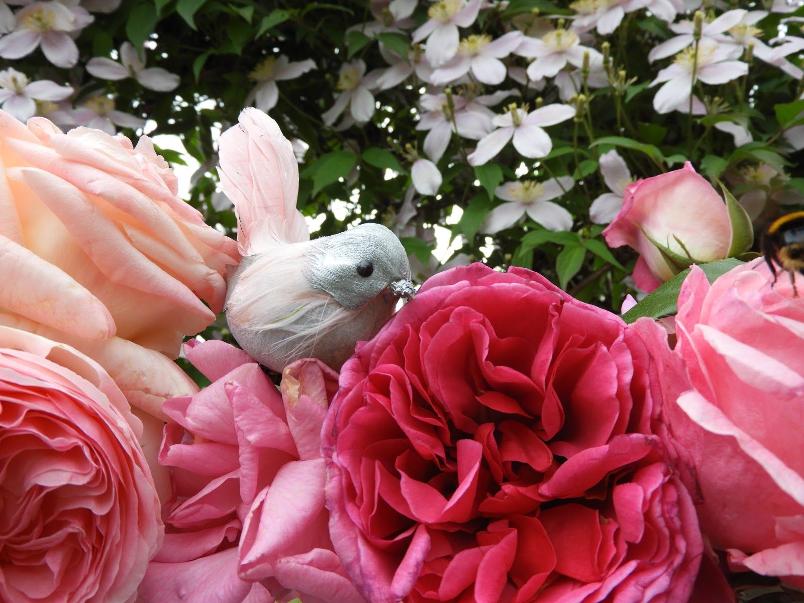 Goodbye Spring Hello Summer Wallpapers - Wallpaper Cave