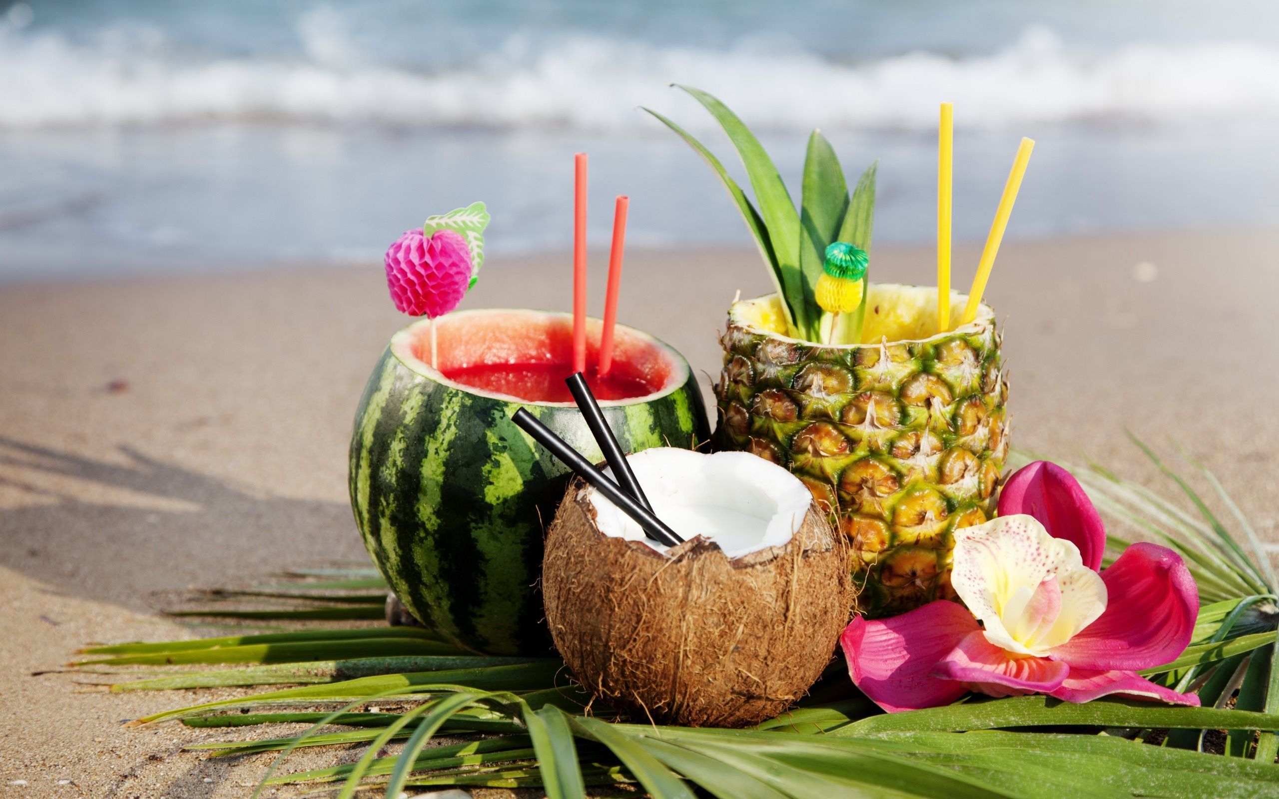 Summer Coconuts Wallpapers - Wallpaper Cave