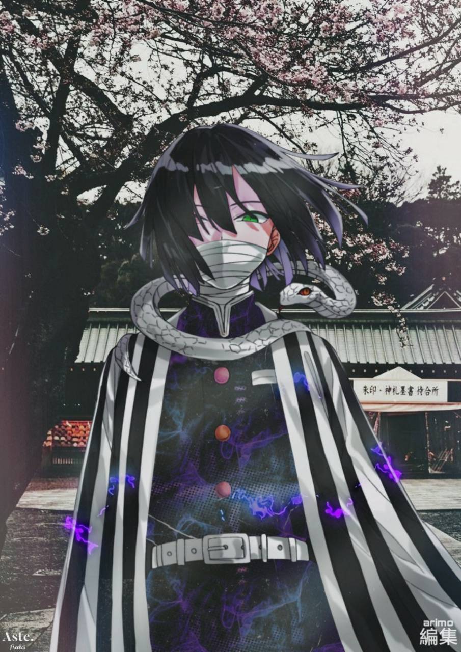 Snake Hashira Wallpapers - Wallpaper Cave