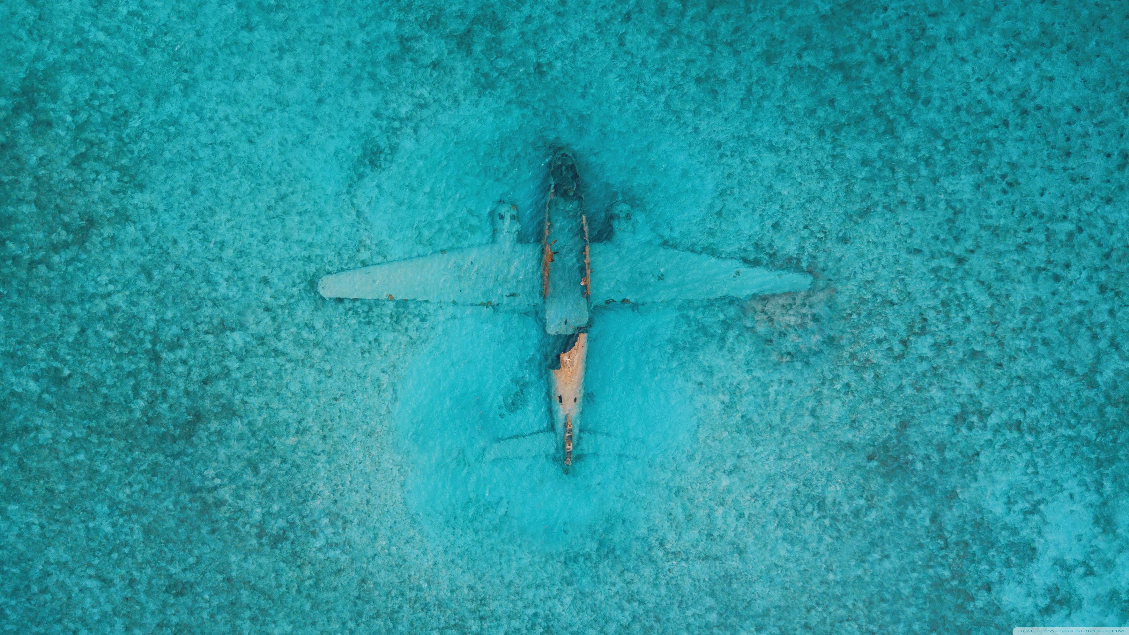 Scuba Diver 4k Wallpapers - Wallpaper Cave