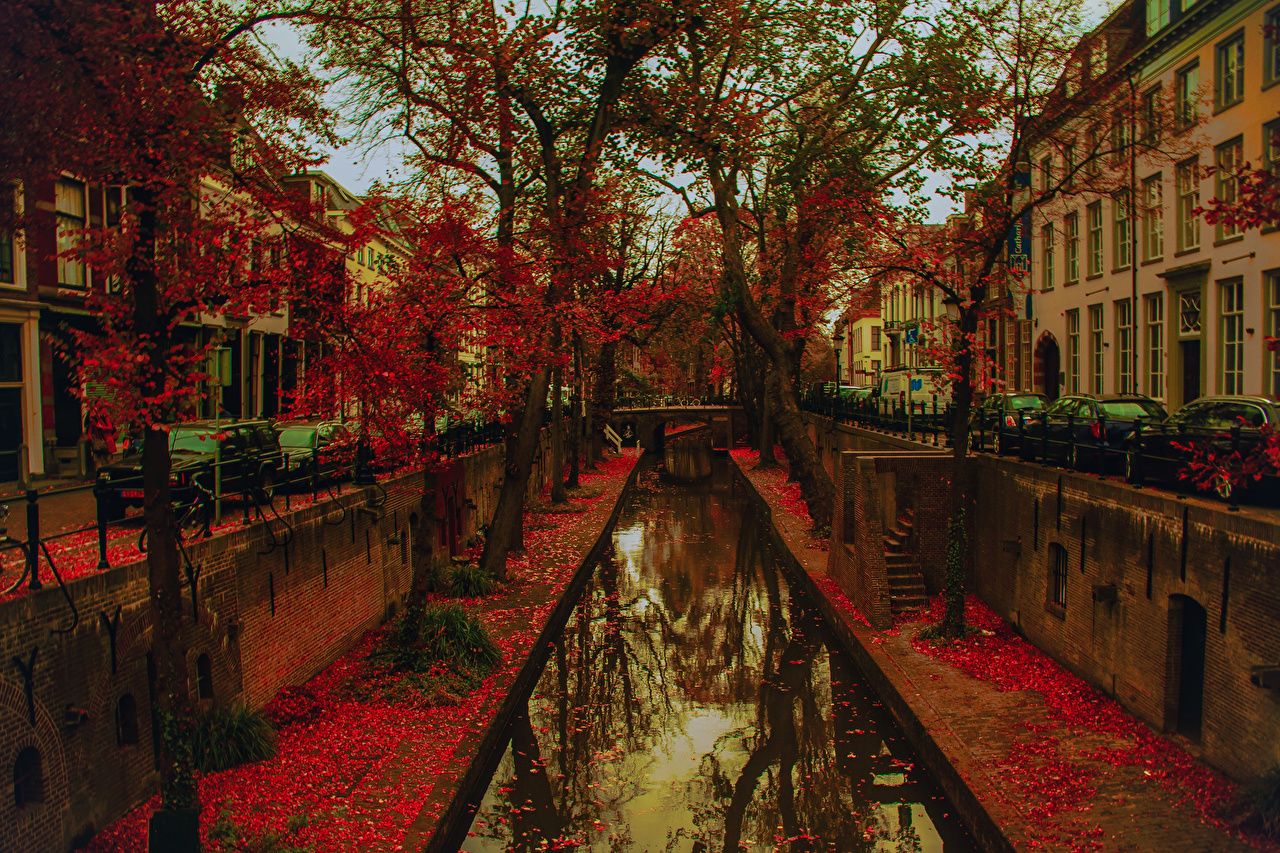 Autumn Street PC Wallpapers - Wallpaper Cave
