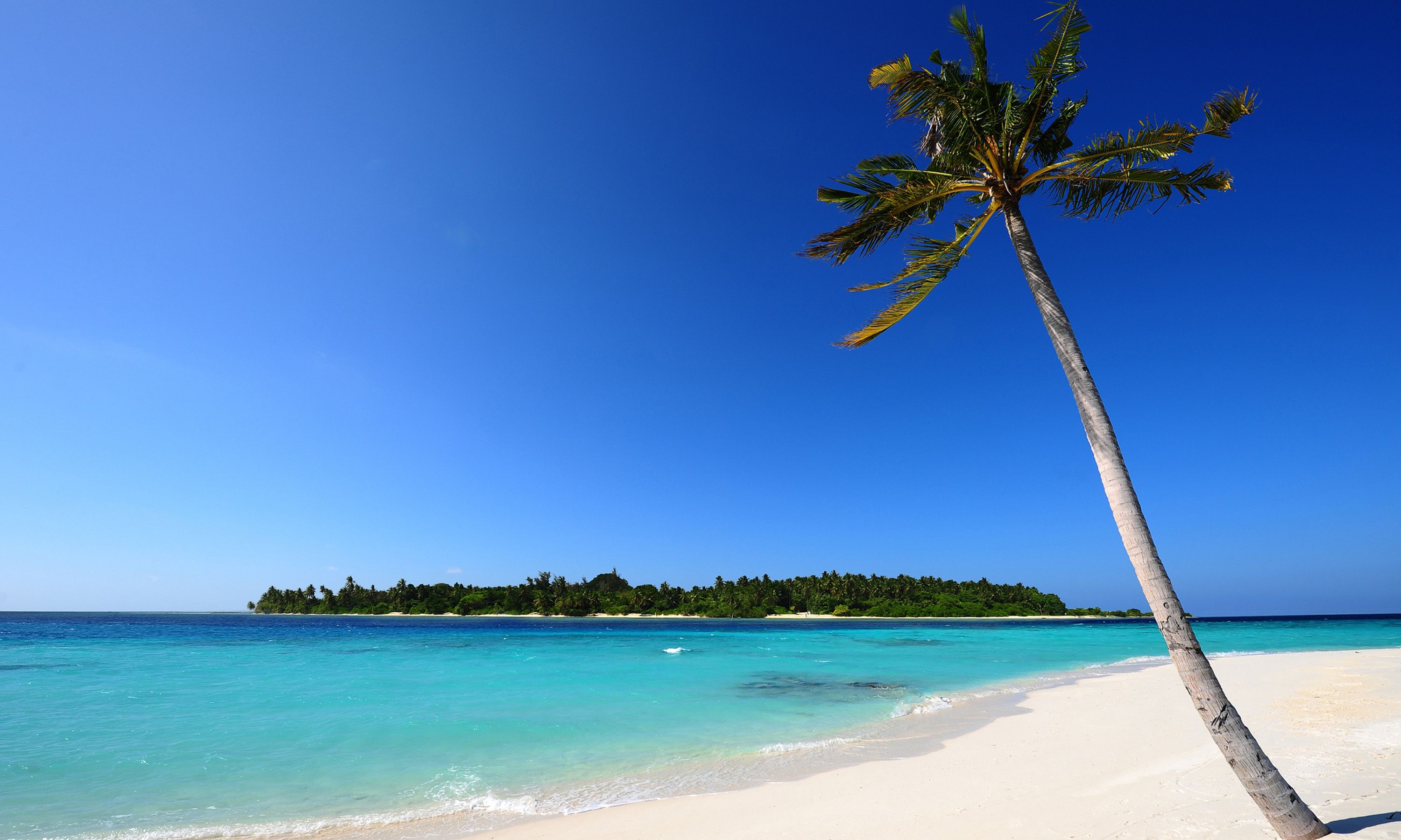 Goa India Wallpapers - Wallpaper Cave