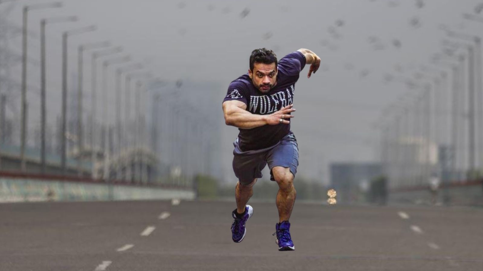 Flying Beast Wallpapers - Wallpaper Cave