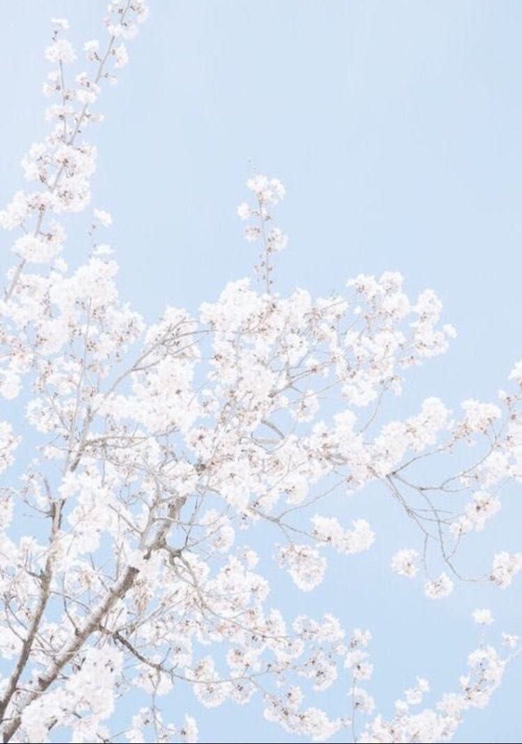 Bright And Aesthetic Wallpapers - Wallpaper Cave