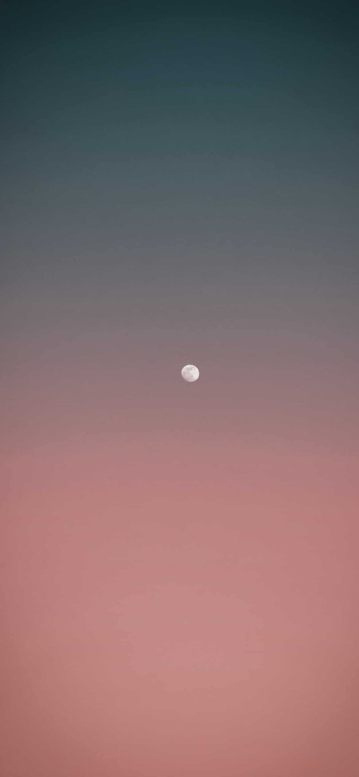 Pink Color Aesthetic Wallpapers - Wallpaper Cave