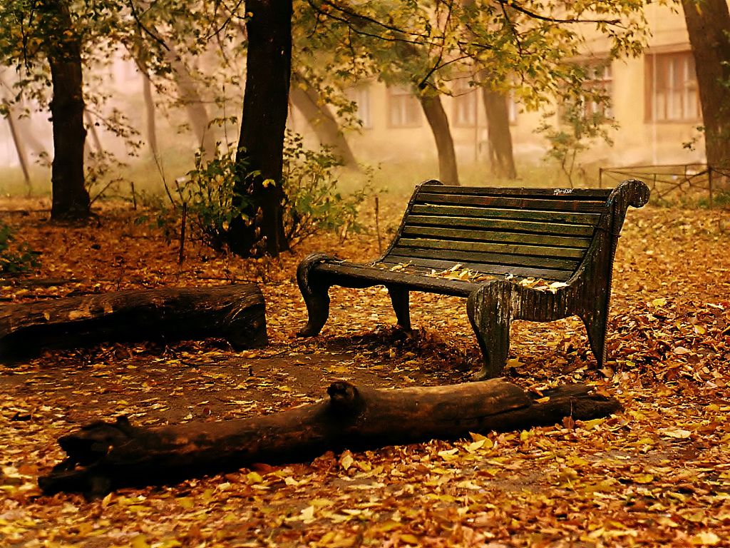 Alone Autumn Wallpapers - Wallpaper Cave