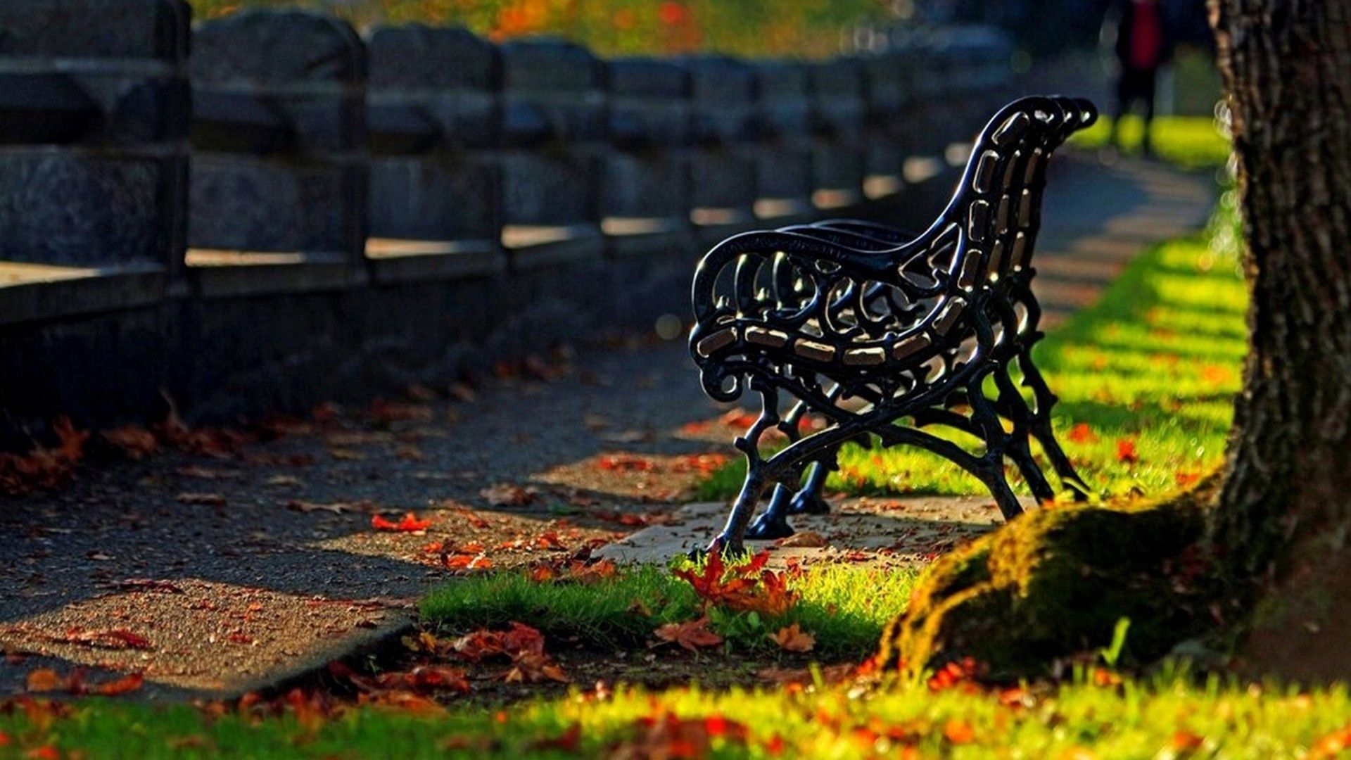 Alone Autumn Wallpapers - Wallpaper Cave