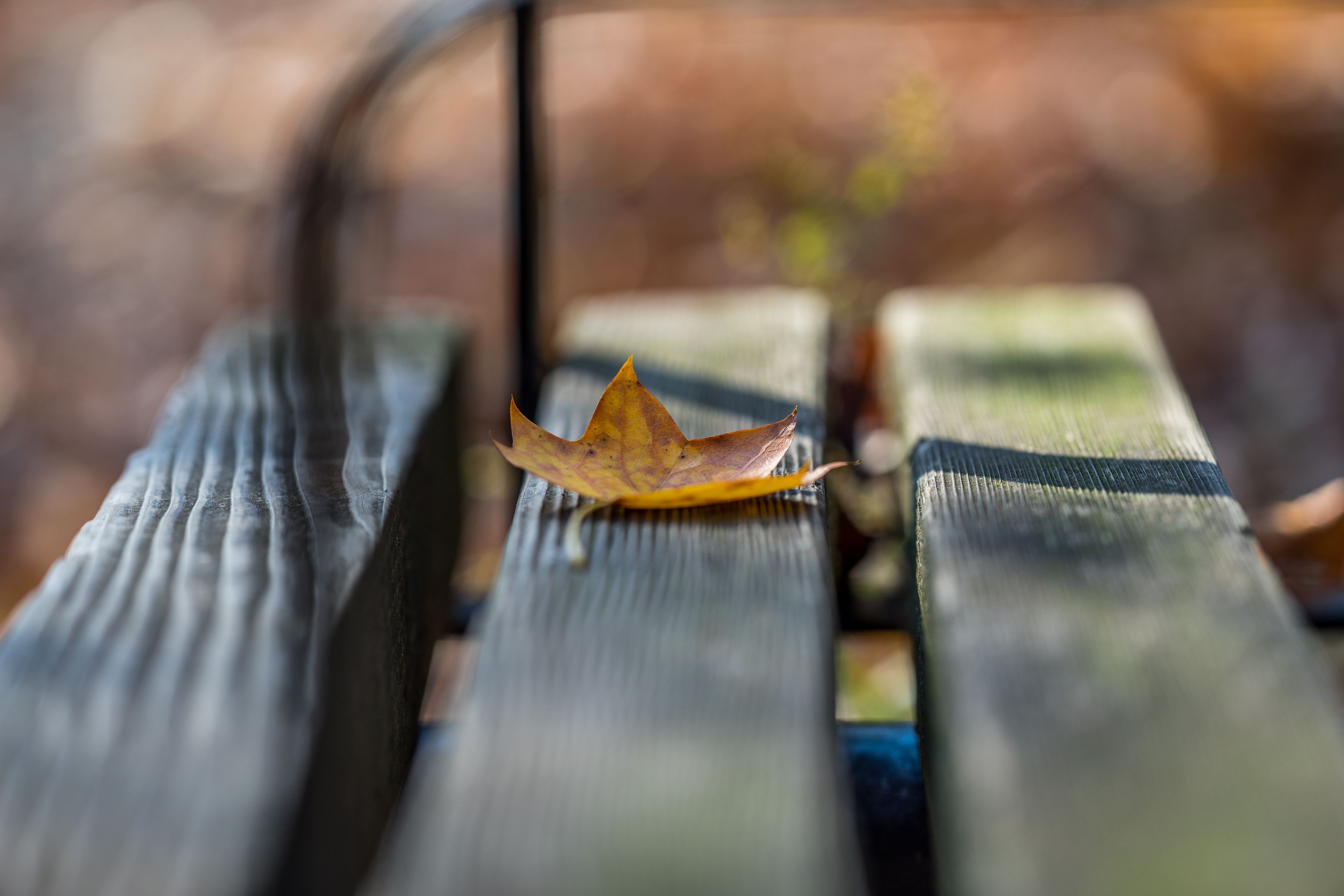 Alone Autumn Wallpapers - Wallpaper Cave