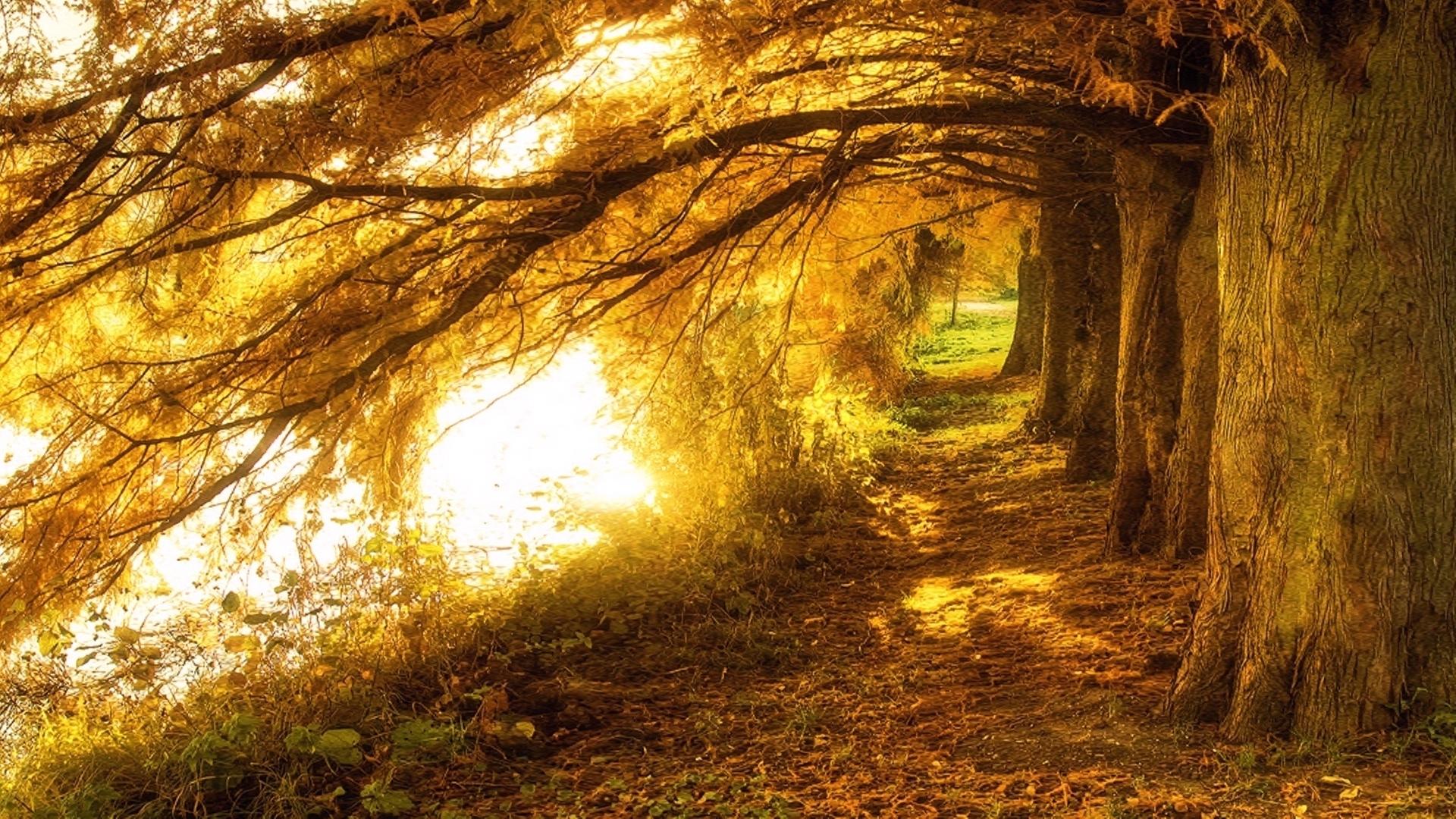 Autumn Pathways Wallpapers - Wallpaper Cave