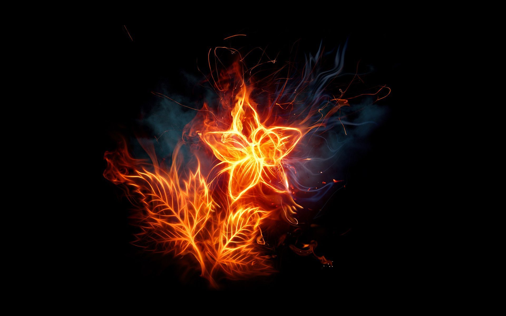Fire Eyes Wallpapers - Wallpaper Cave