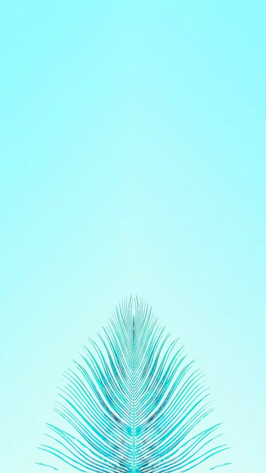 Summer Teal Wallpapers - Wallpaper Cave