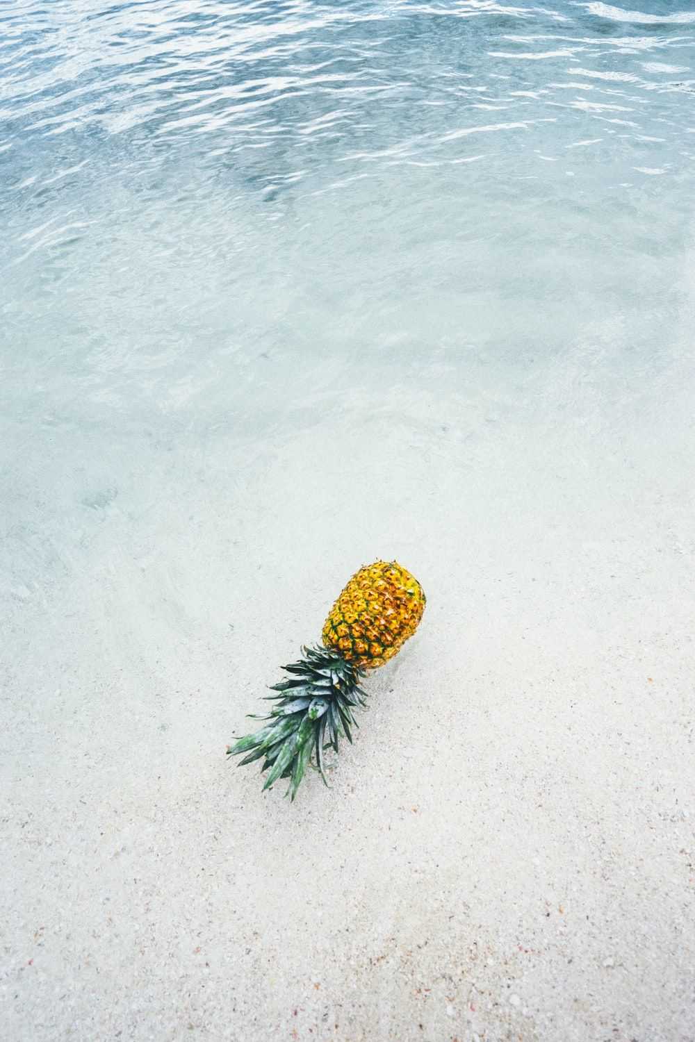 Nice Summer Wallpapers - Wallpaper Cave