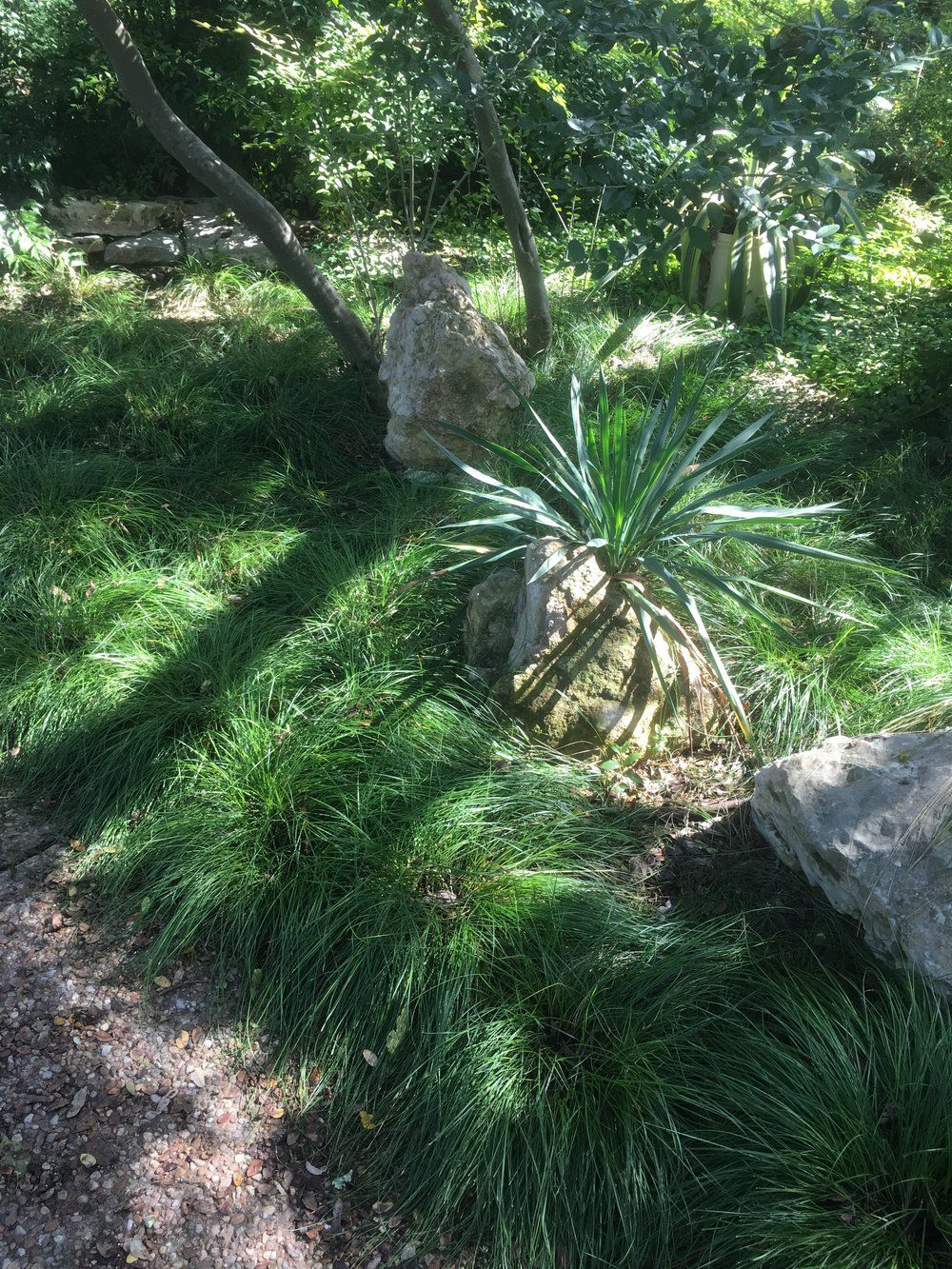 Emory Bertopeng Sedge Wallpapers - Wallpaper Cave