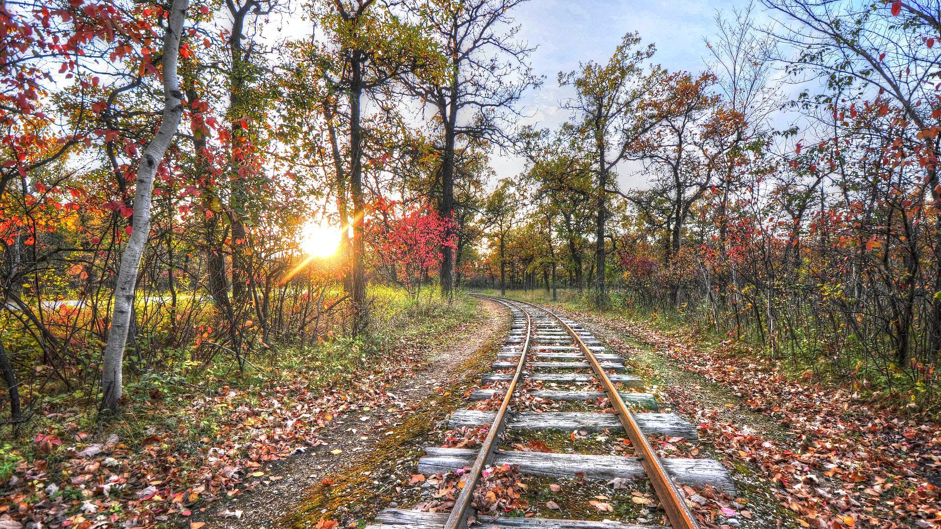 Autumn Train Track Wallpapers - Wallpaper Cave